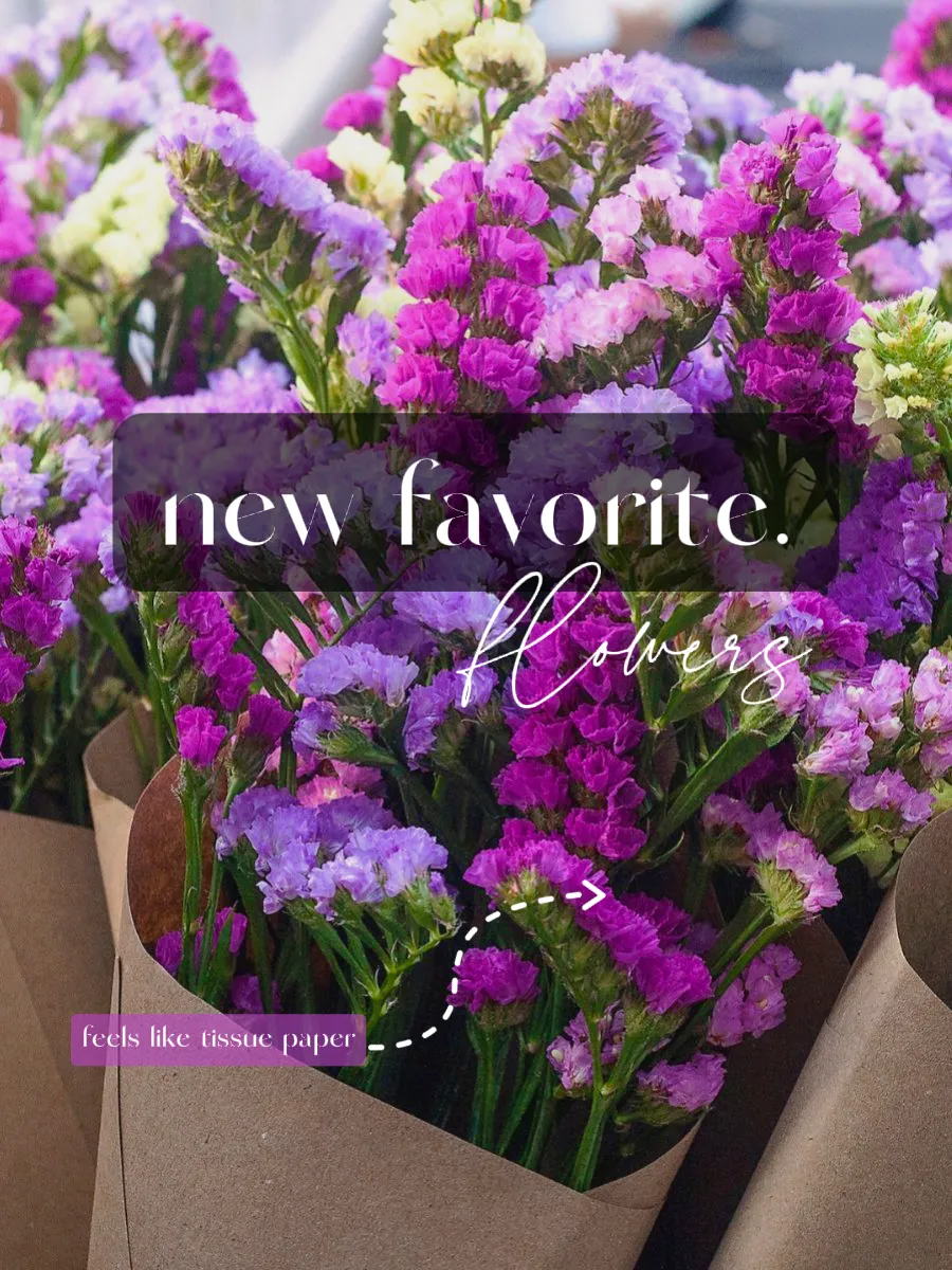 buy yourself some flowers | Gallery posted by mandy love 💛 | Lemon8