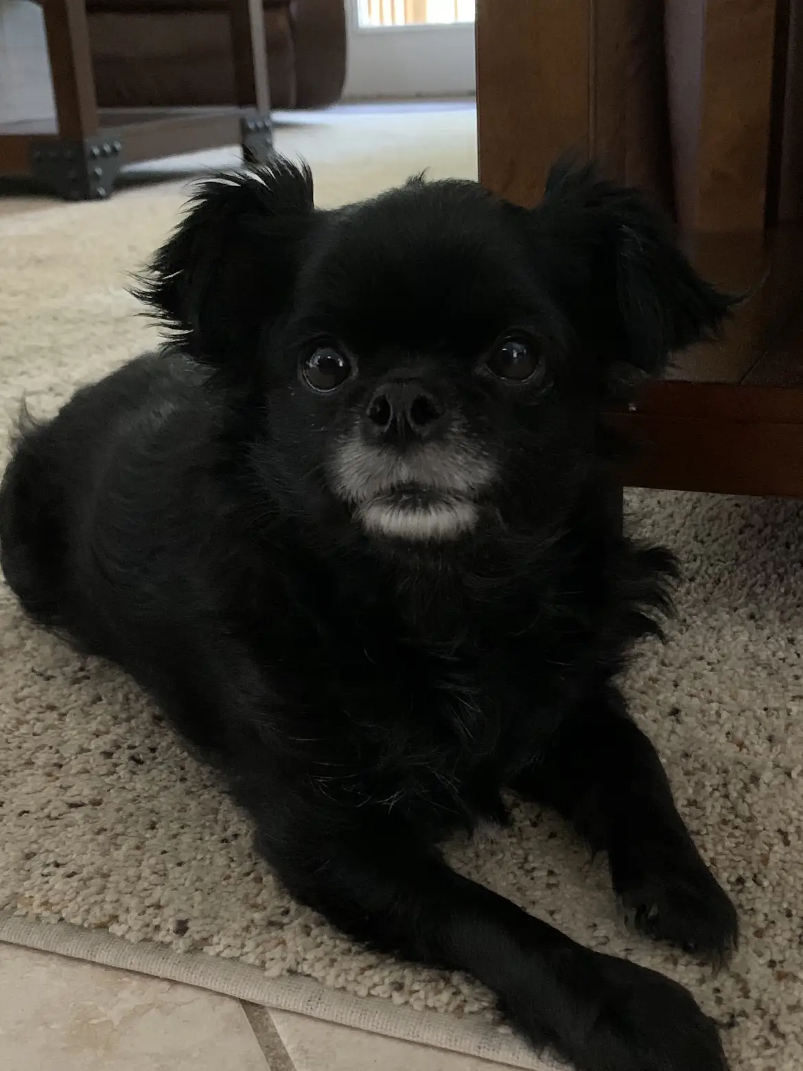 Padme | Gallery posted by Lindsay Smith | Lemon8