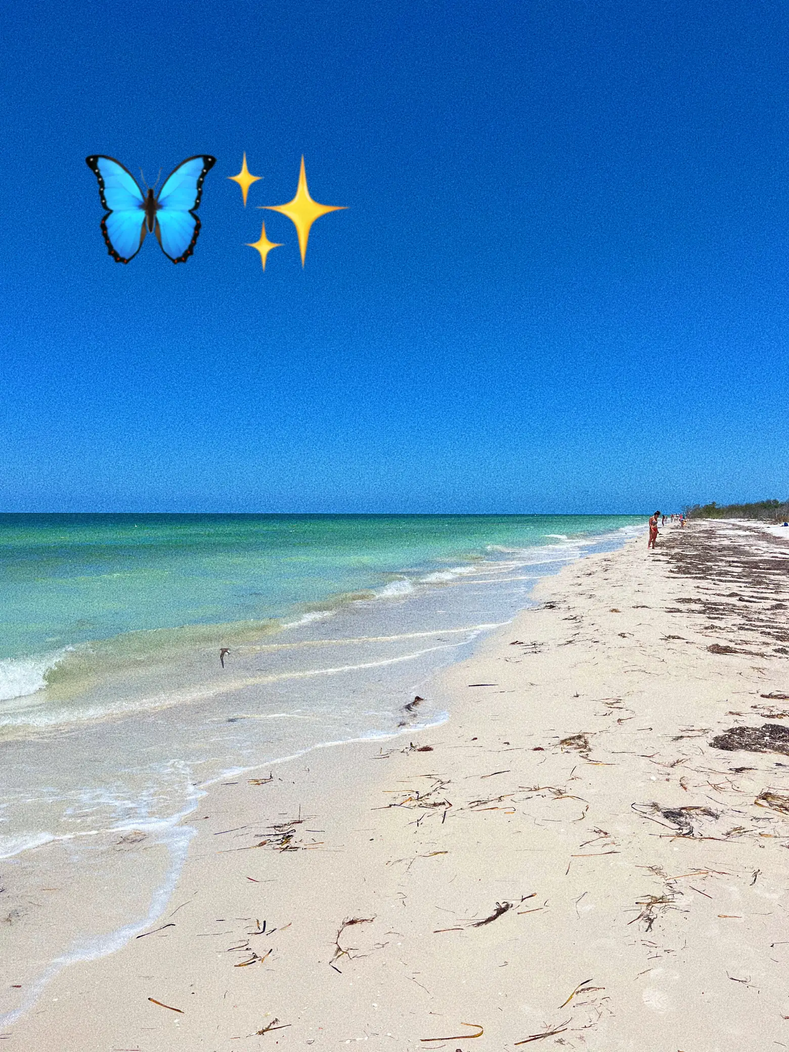 BEACH | Gallery posted by Bridget | Lemon8