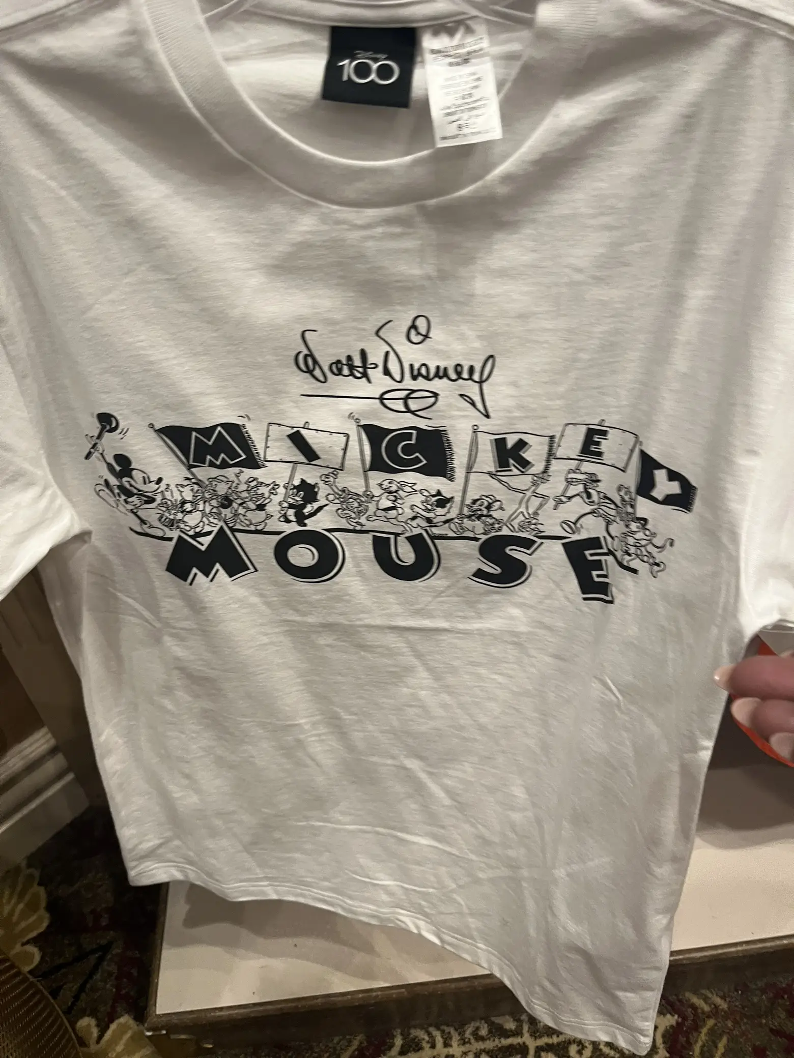 Disney park cute finds 💕 | แกลเลอรีที่โพสต์โดย janay taylor | Lemon8