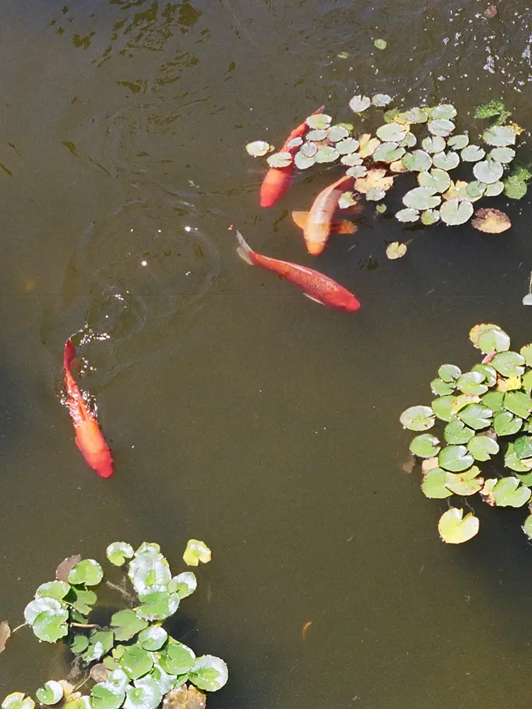 Some recent snaps 📸 | แกลเลอรีที่โพสต์โดย Jillian Nichols | Lemon8