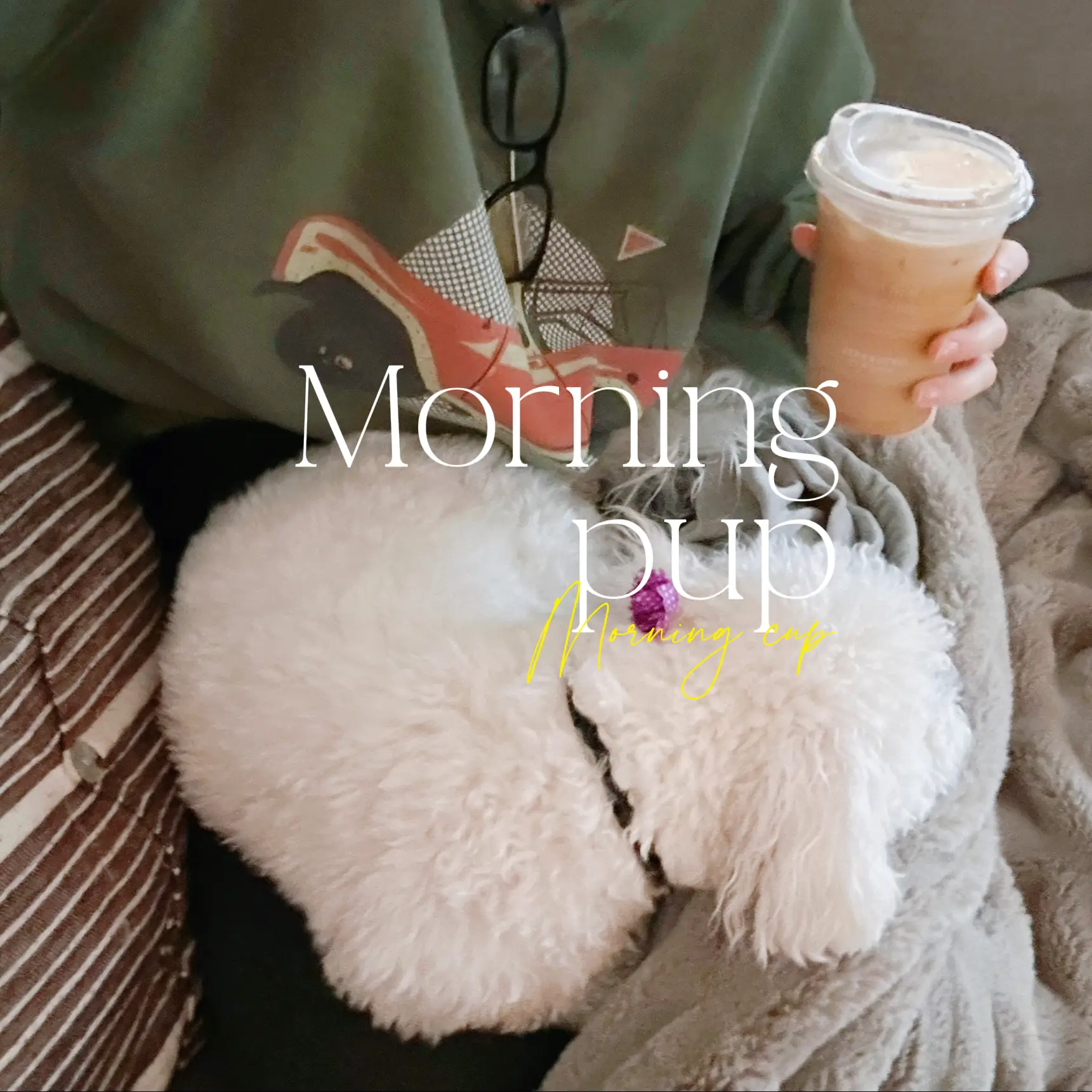 morning pup morning cup | Gallery posted by pineapplebrat | Lemon8