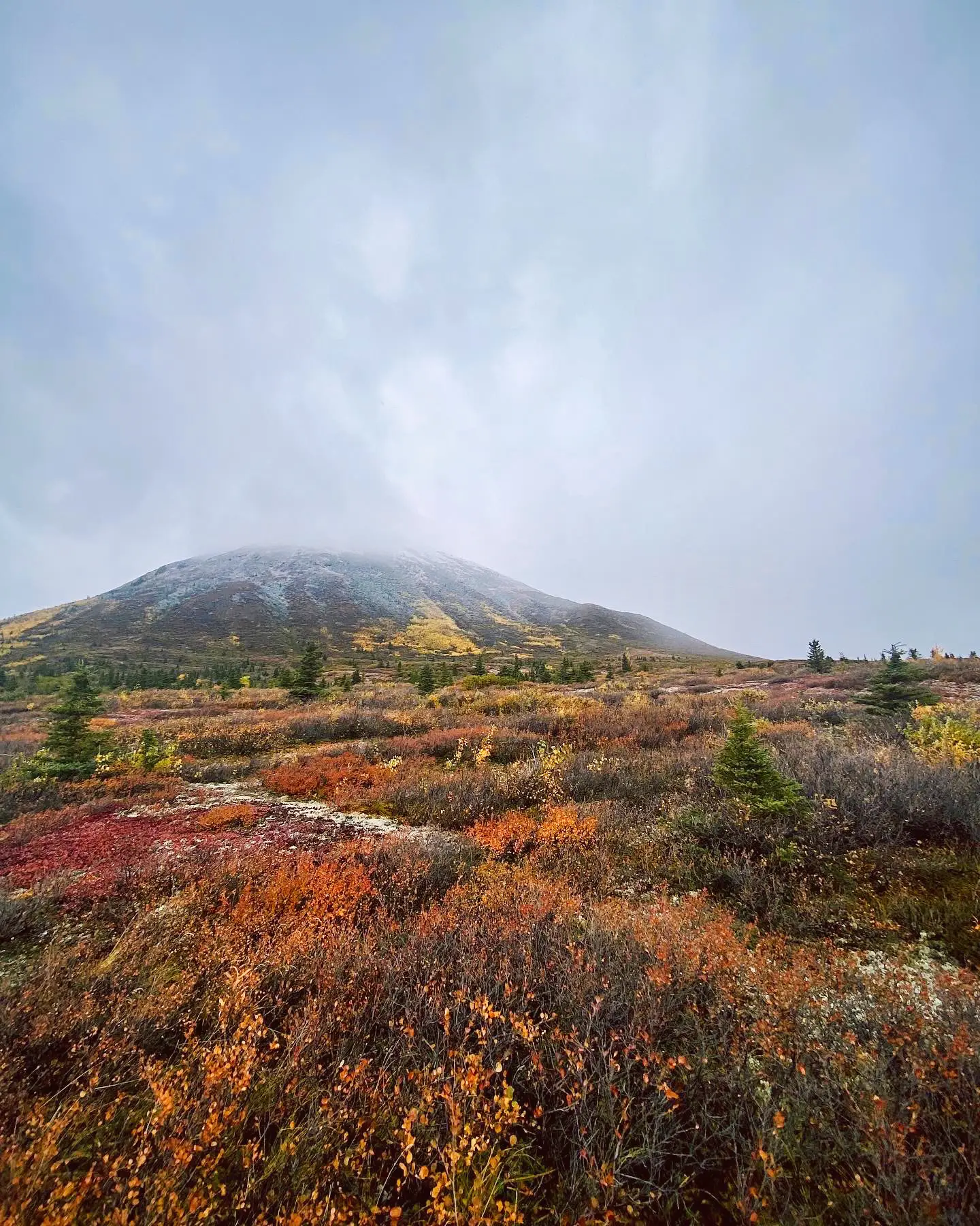 best hikes of interior alaska: #1 | แกลเลอรีที่โพสต์โดย frontiergremlin ...
