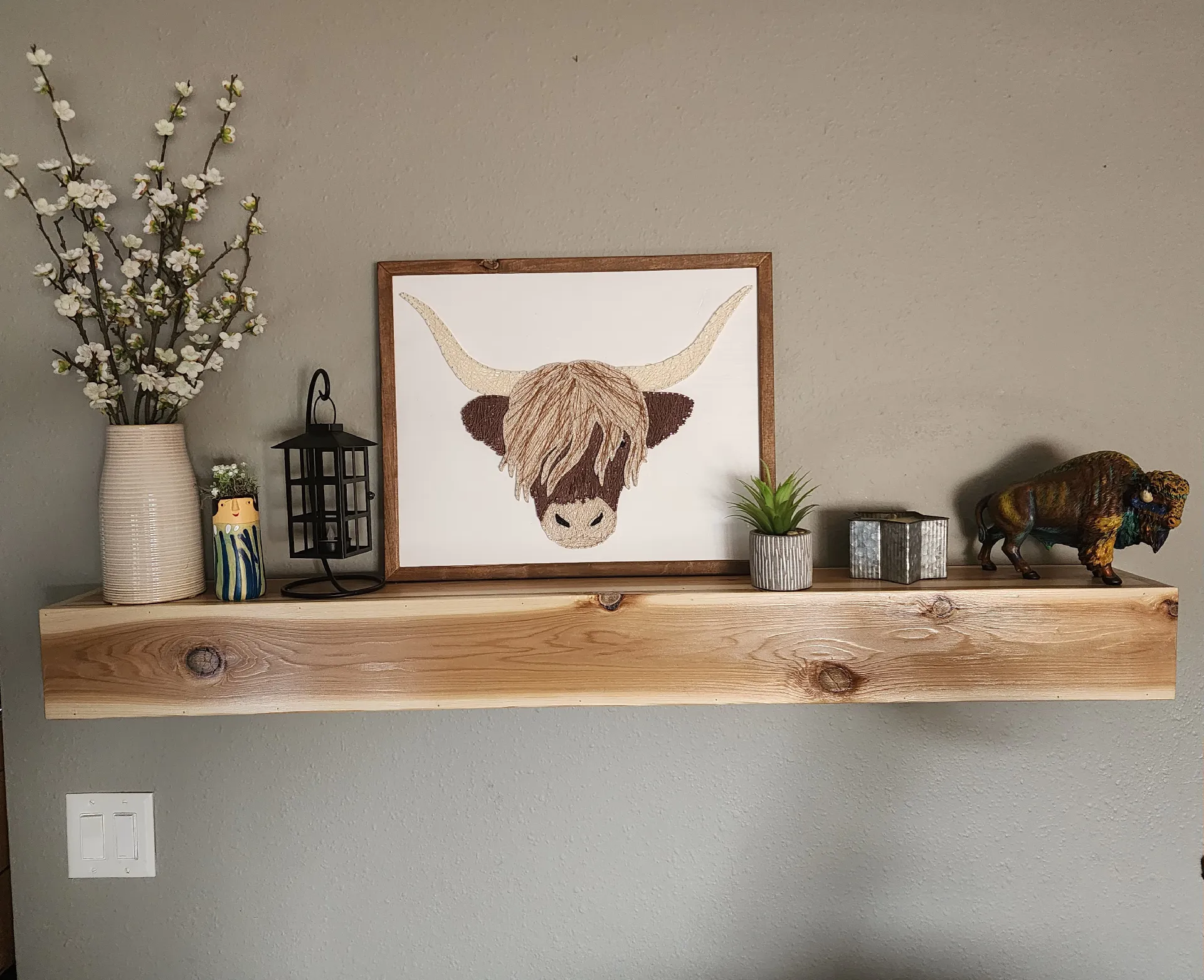 Highland Cow String Art | Gallery posted by Lora Riley | Lemon8