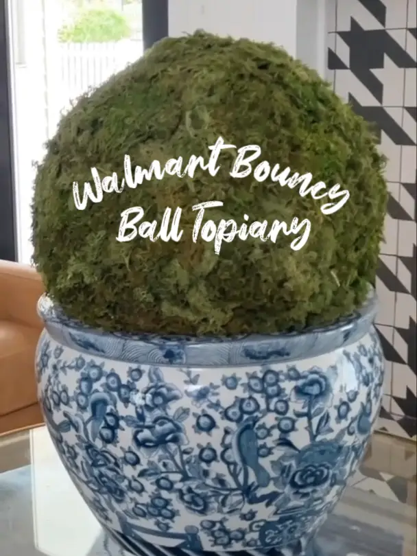 Bouncy Ball Topiary | Video published by Hometalk | Lemon8