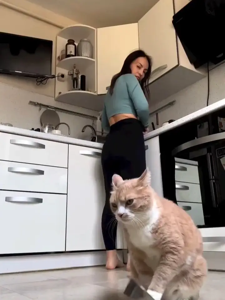 Give me food🐱 ️ | Video published by Our Cuties | Lemon8