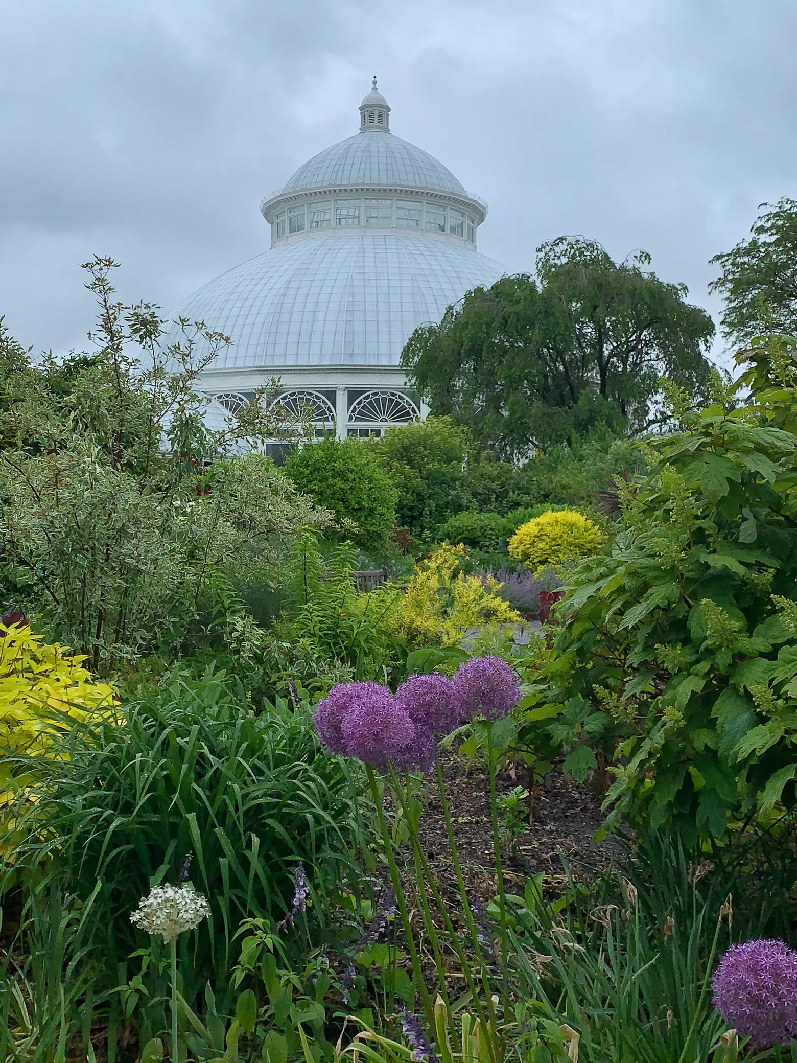 photo diary - flora (happy earth day!) | แกลเลอรีที่โพสต์โดย Ash | Lemon8