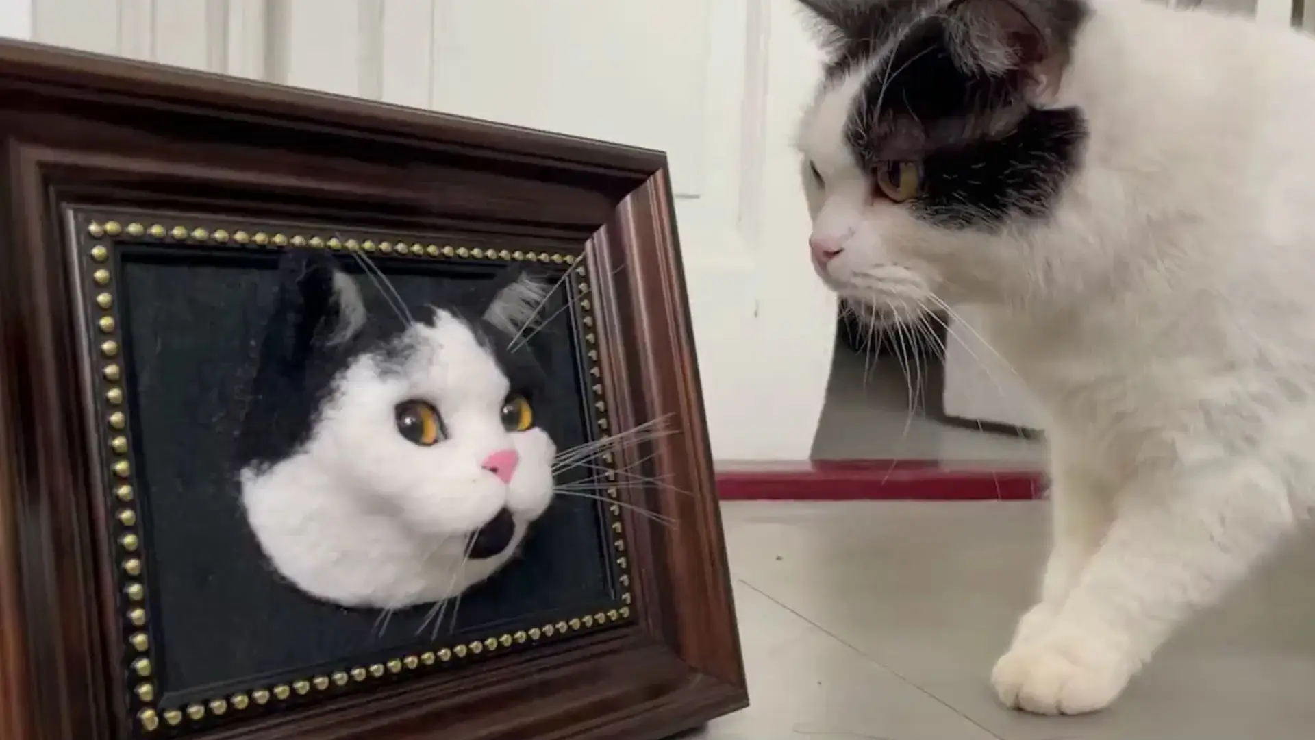 それ自体は分かっていないようだ | emma avaの投稿動画 | Lemon8