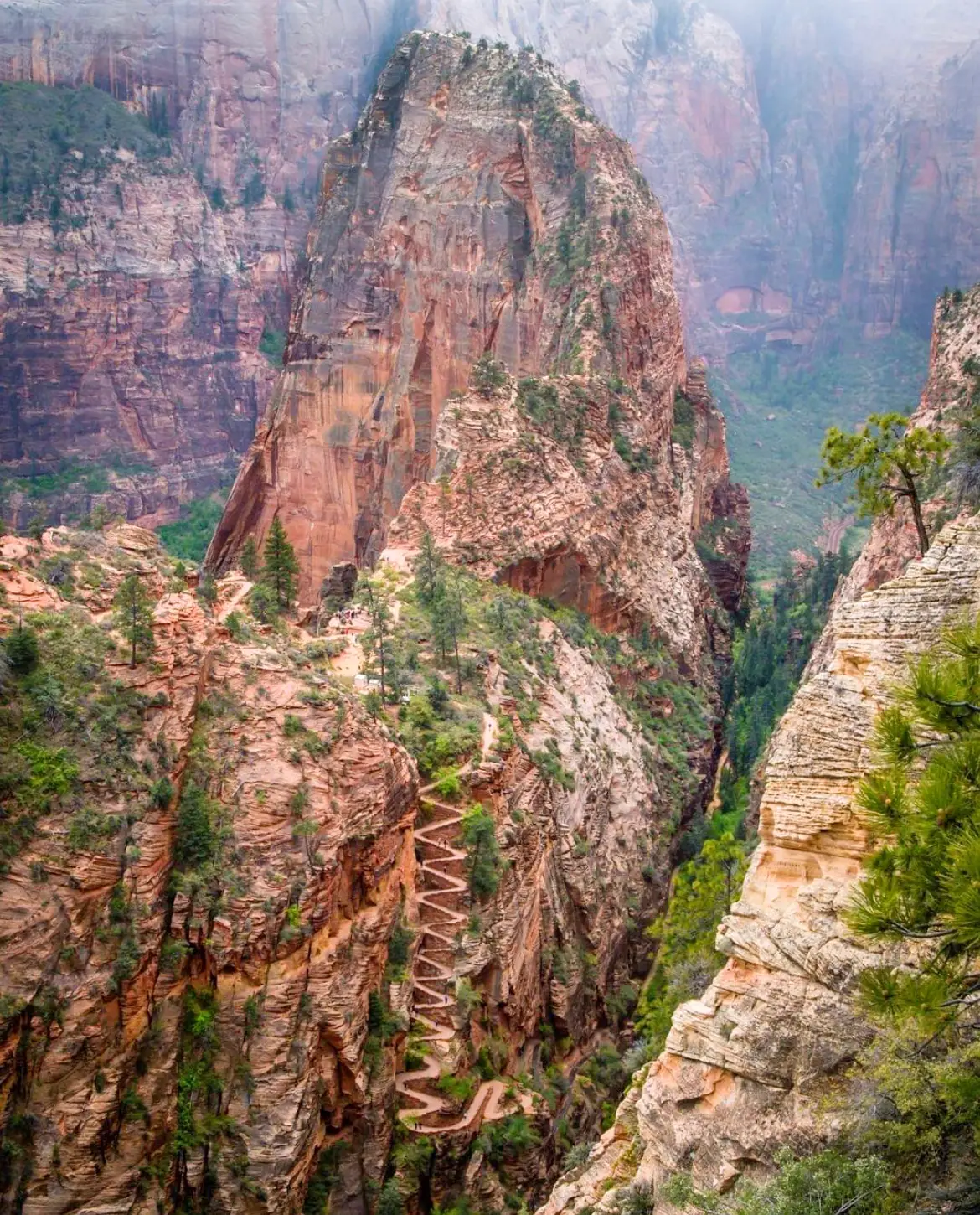 Walter’s Wiggles Trail In Zion National Park, Utah | Gallery posted by ...