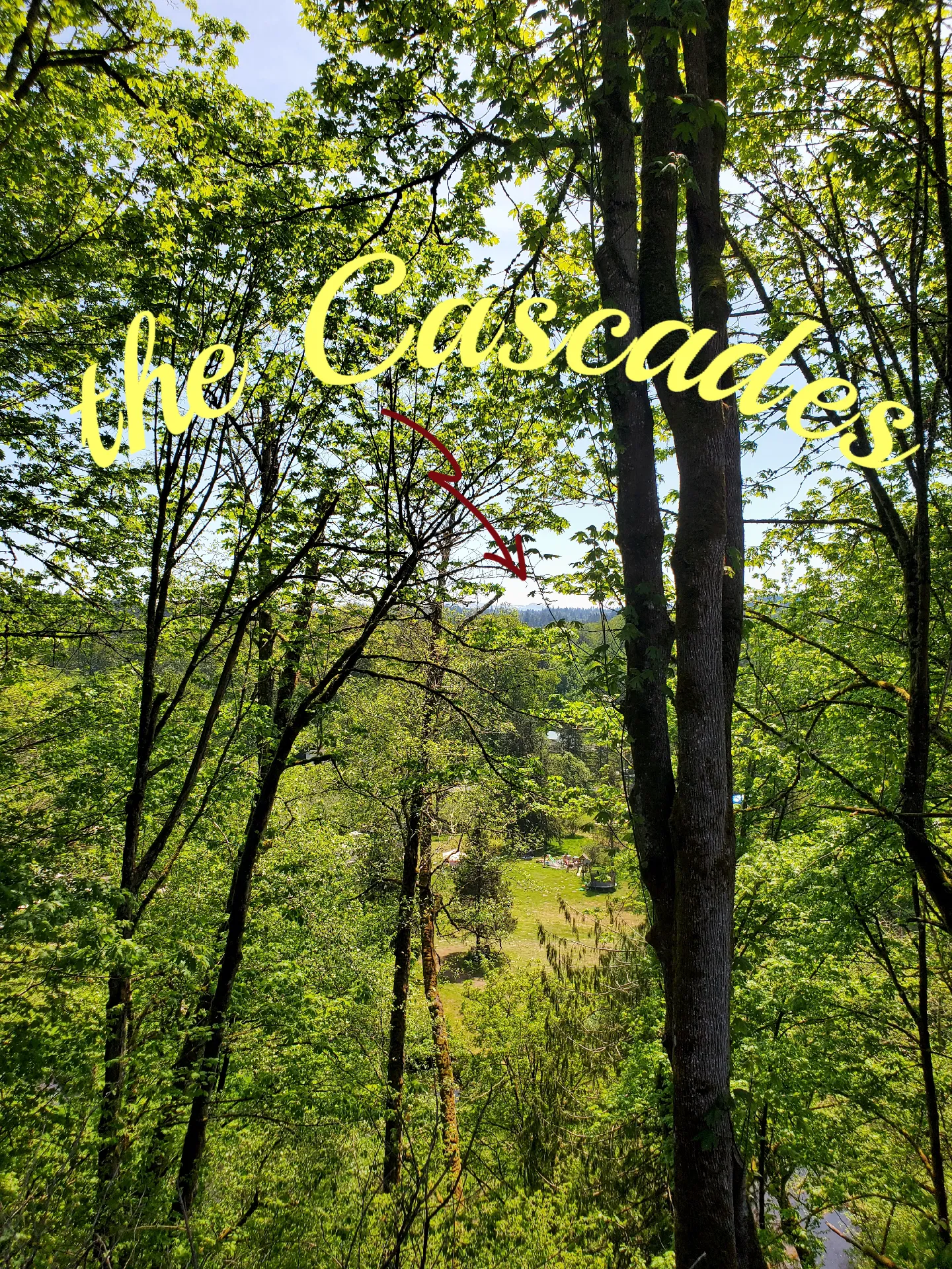 Mother's Day 🐾🐾🐾 | Gallery posted by Sissy 🍋 | Lemon8