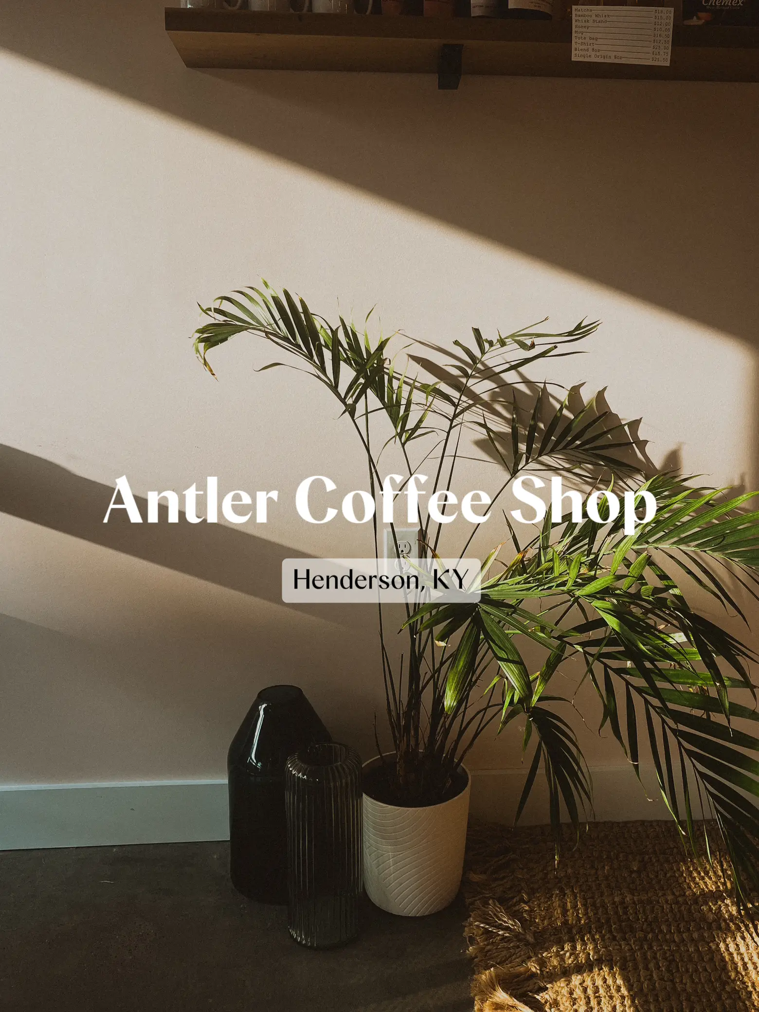 Antler Coffee in Henderson, KY | Gallery posted by Georganna Lagen | Lemon8