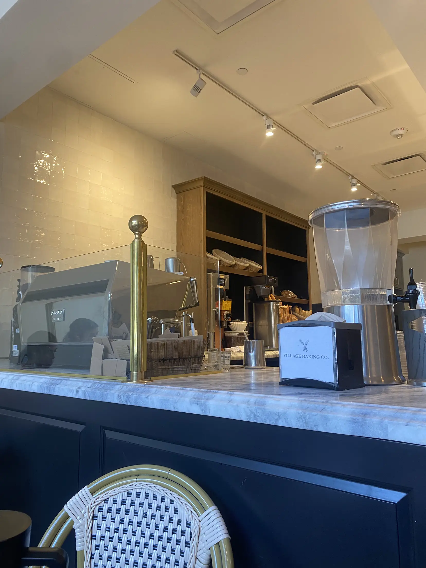 Sunny walks and coffee :) | Gallery posted by Sierra Brewer | Lemon8