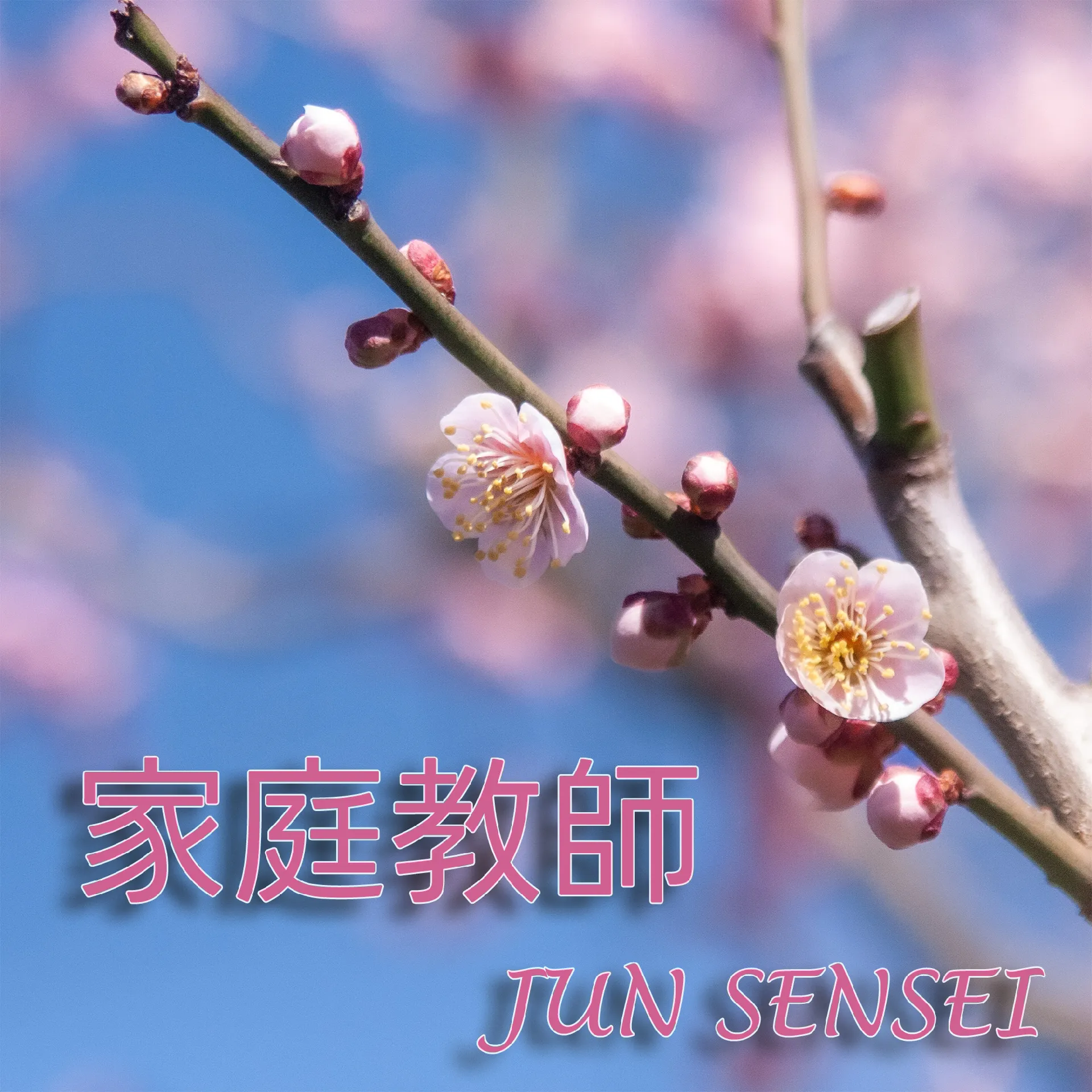 家庭教師 | JUNが投稿したフォトブック | Lemon8