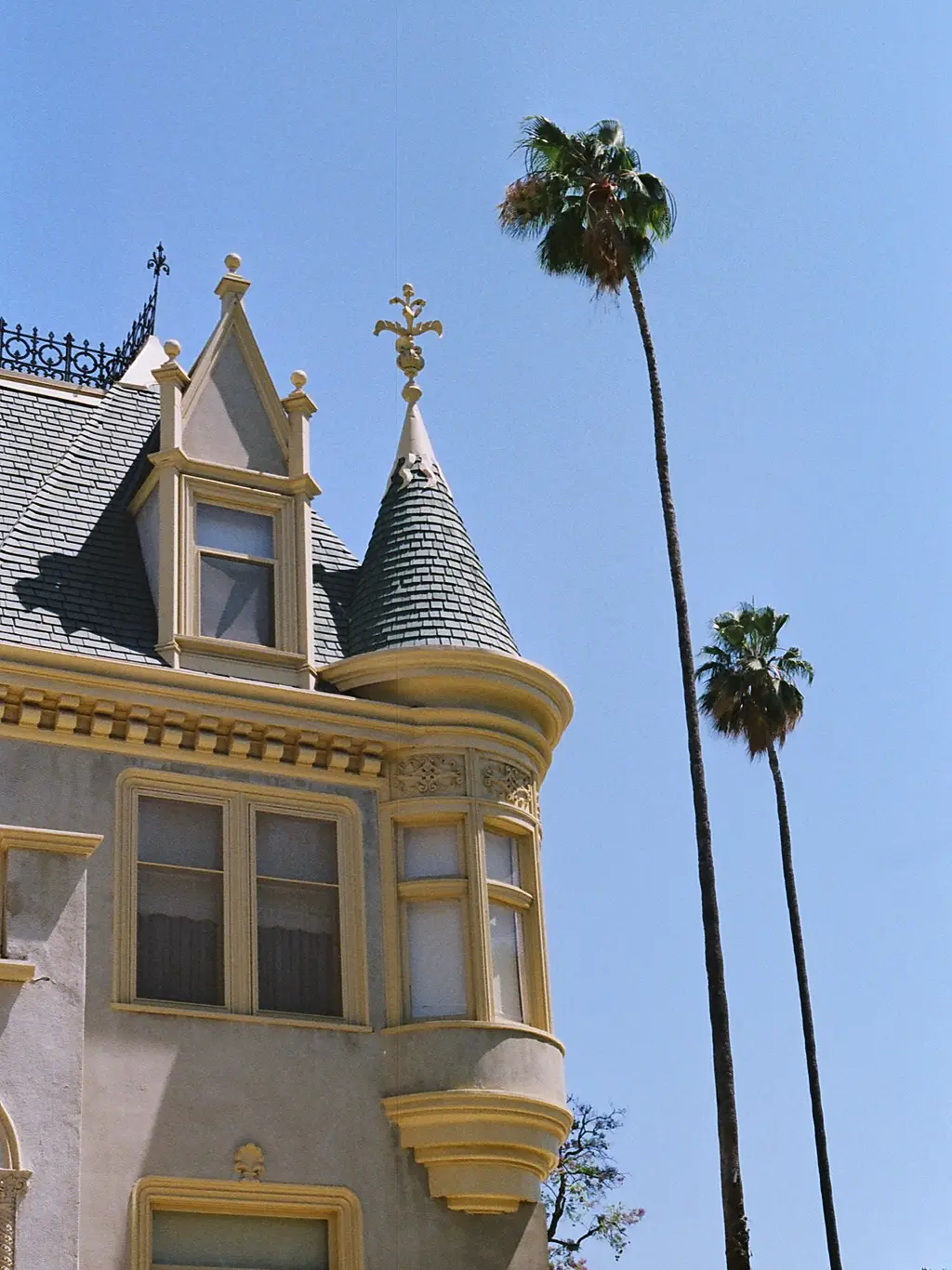 Some recent snaps 📸 | แกลเลอรีที่โพสต์โดย Jillian Nichols | Lemon8