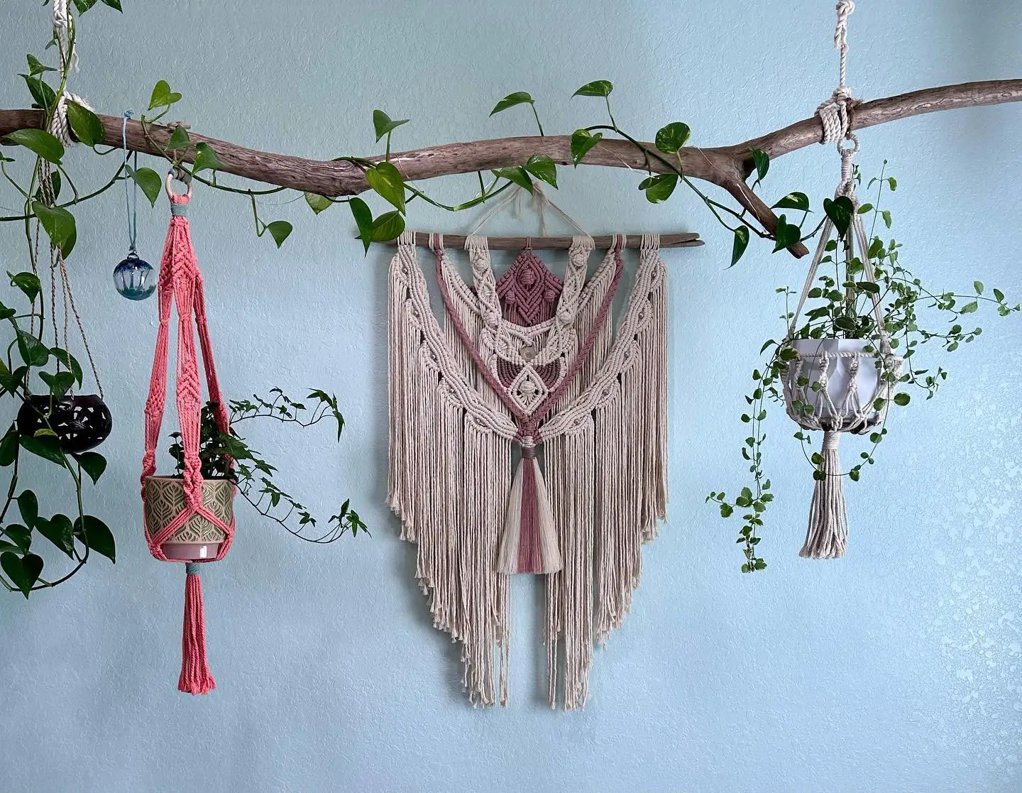 Macrame and Plants | แกลเลอรีที่โพสต์โดย EarthMeetsWater | Lemon8