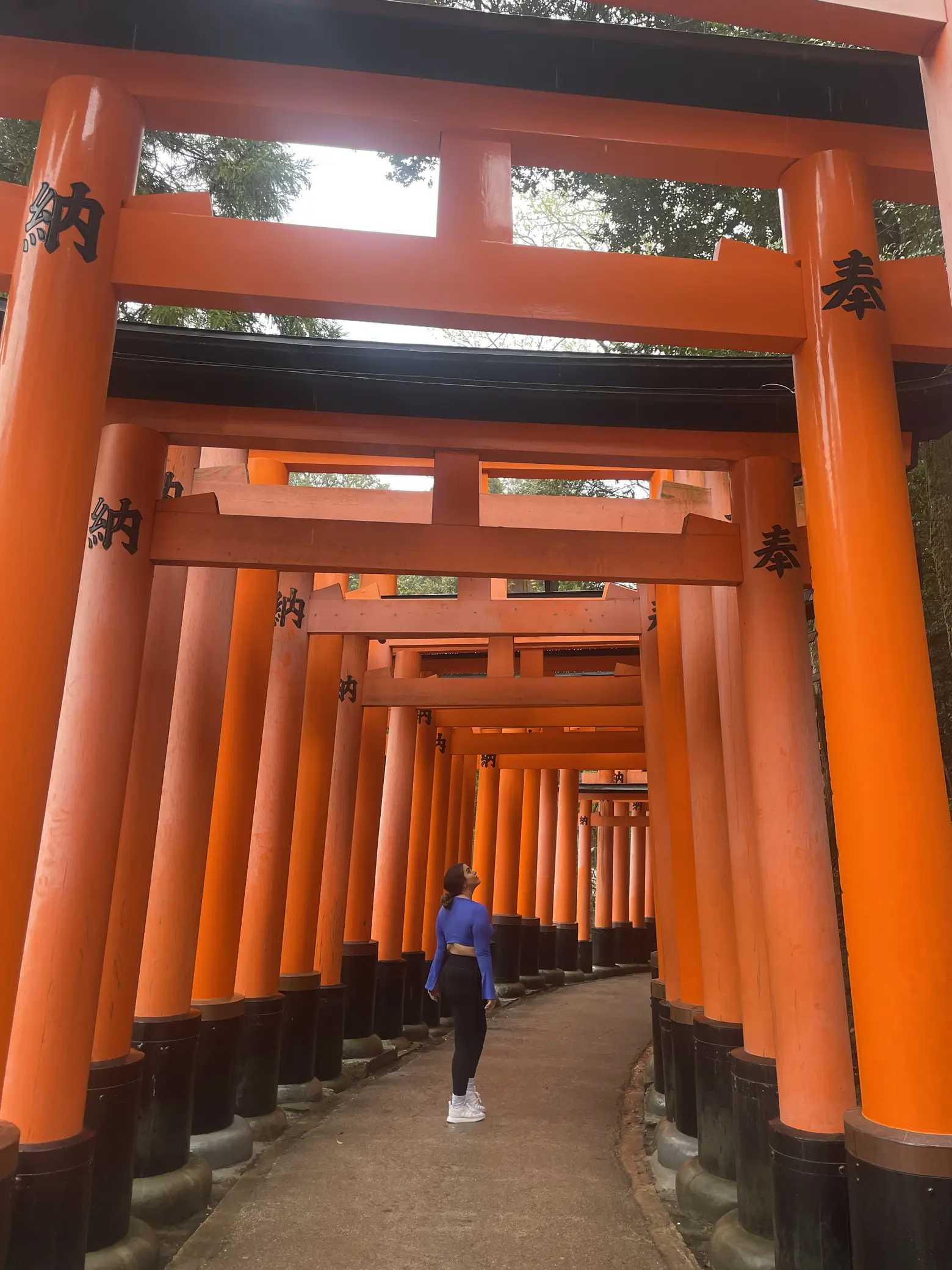 Kyoto, Japan | Gallery posted by Jasmine M | Lemon8