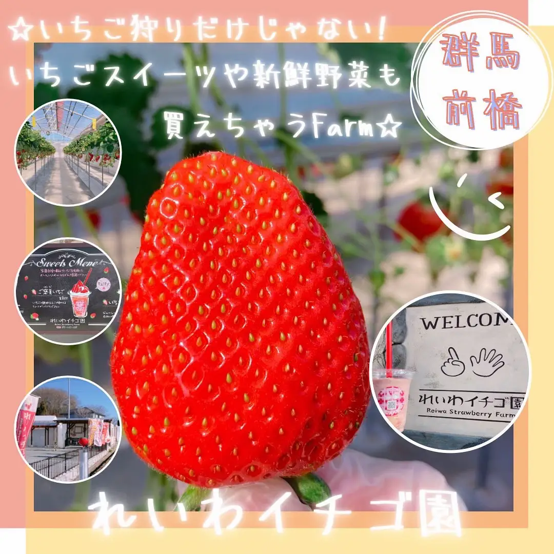 群馬前橋 いちご狩りFarm 【れいわイチゴ園】 | HIRO【群馬グルメ紹介🍽】が投稿したフォトブック | Lemon8