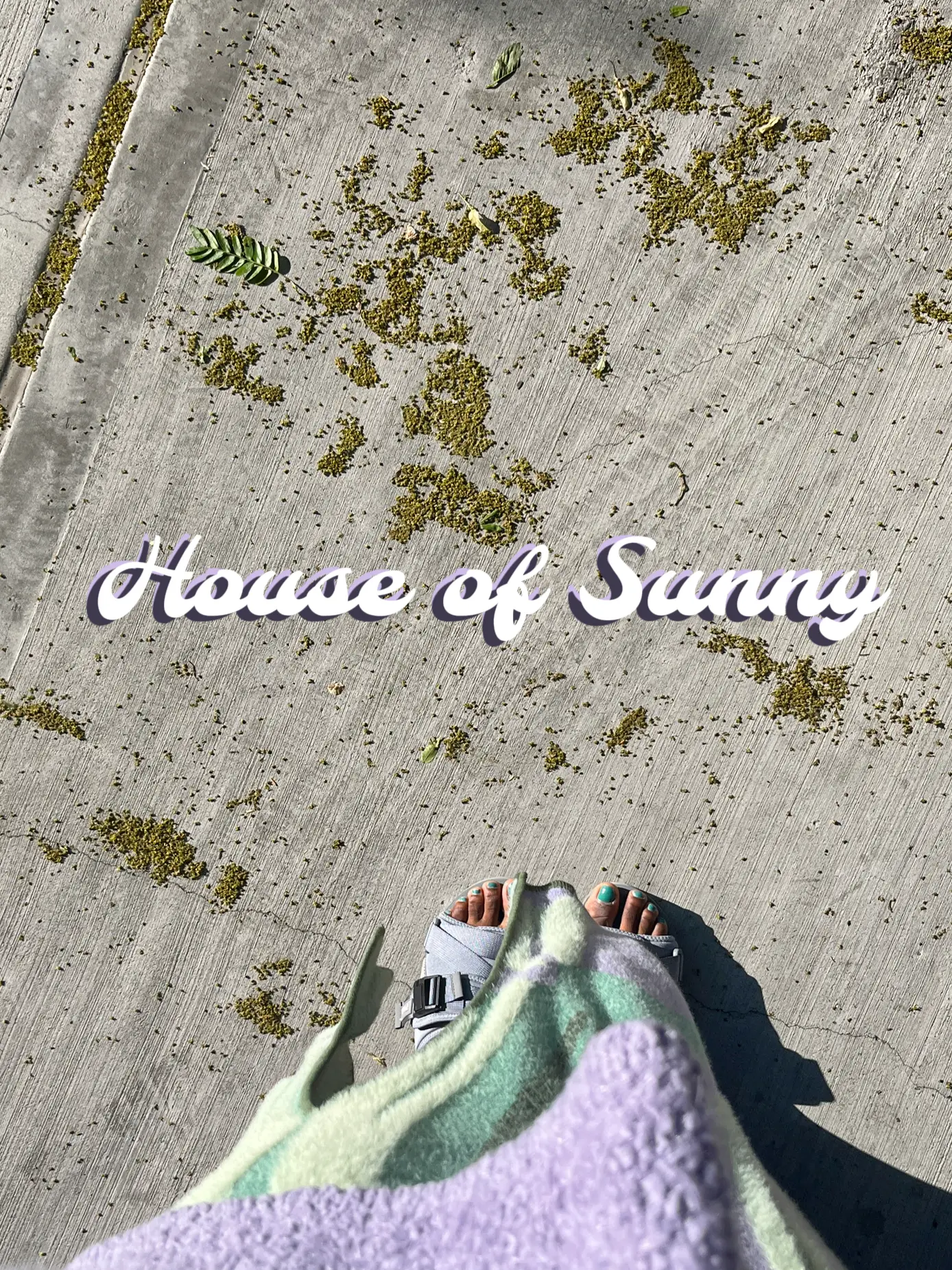 Brands & Stores for the Whimsical Girlies 🛍️ | Gallery posted by Ash ...