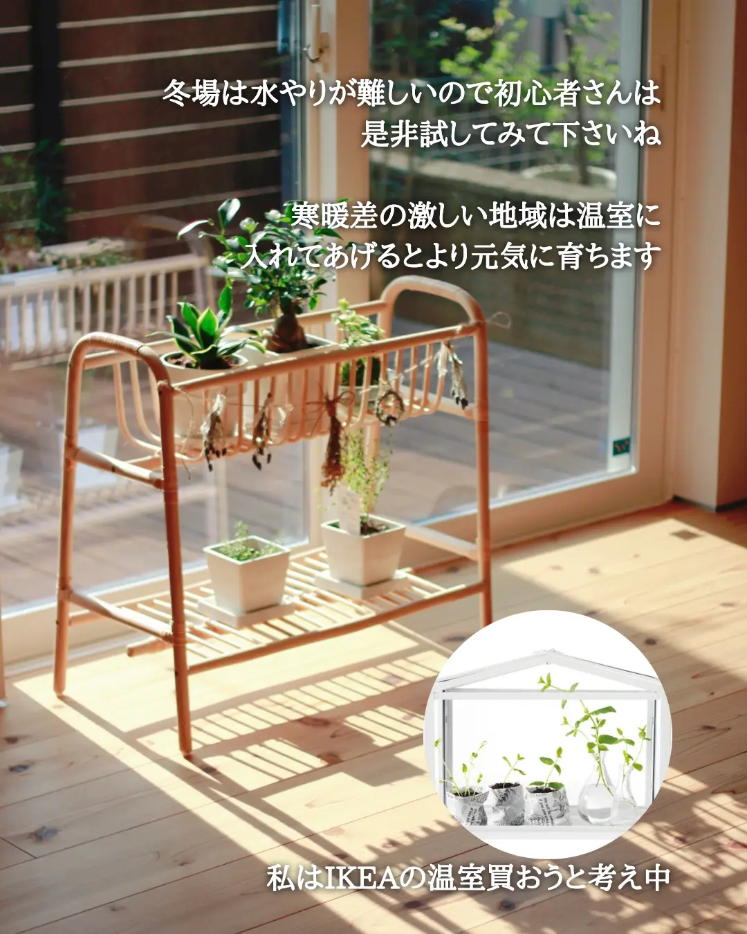 水やりチェッカー SUSTEE | mitsu__.が投稿したフォトブック | Lemon8