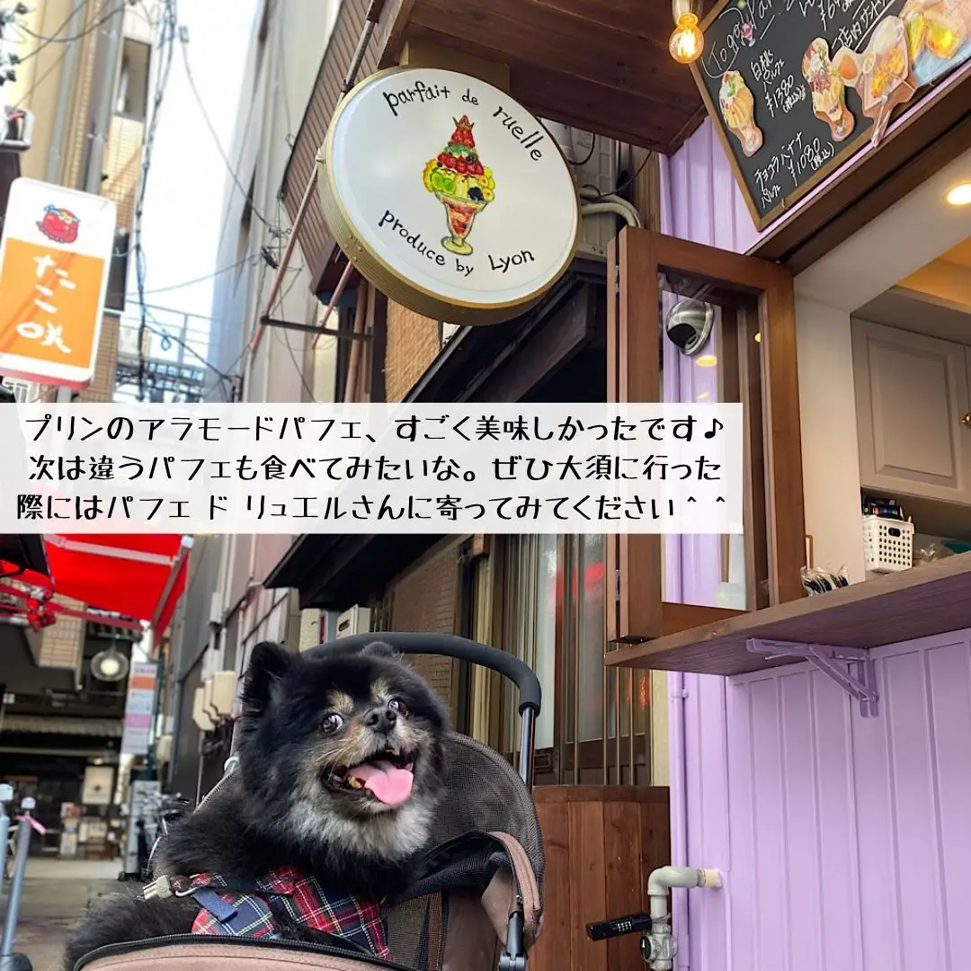 Parfait Druel 】 A parfait shop in Osu | Gallery posted by 東海わんこスポット ...