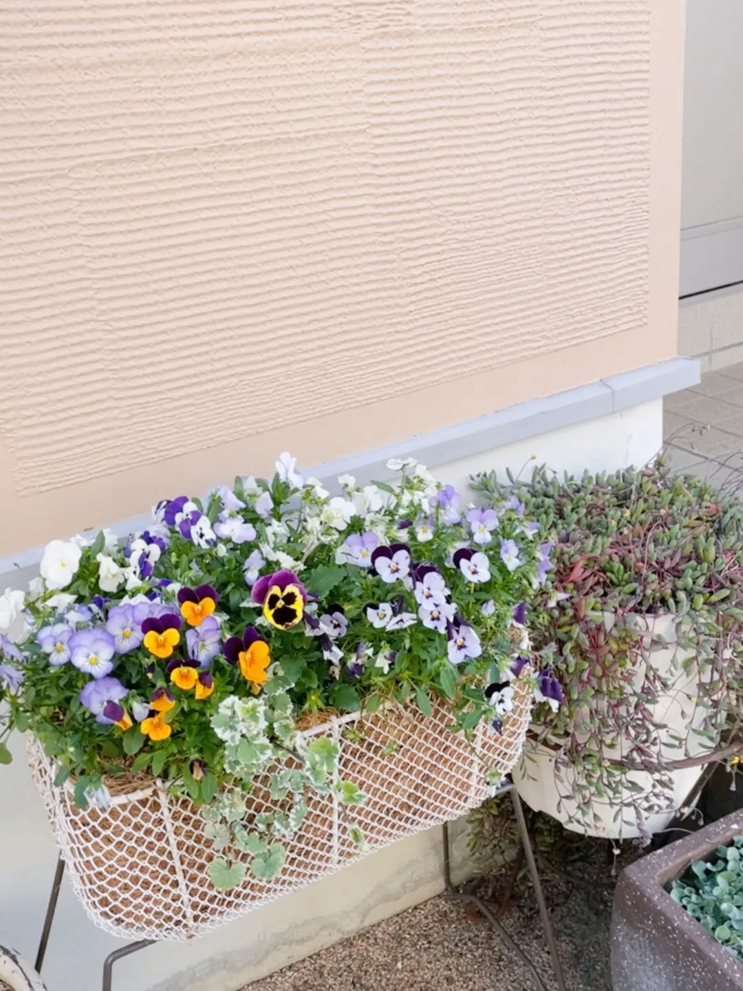 かわちぃ¨̮♡︎ | Haruが投稿したフォトブック | Lemon8