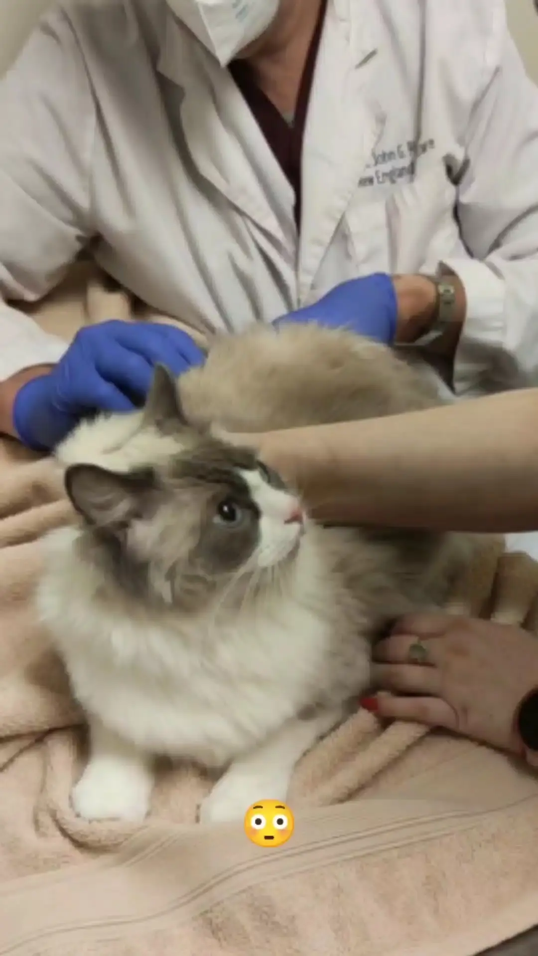 my 🍑 survives another 💉 | Video published by piwi.kiki | Lemon8