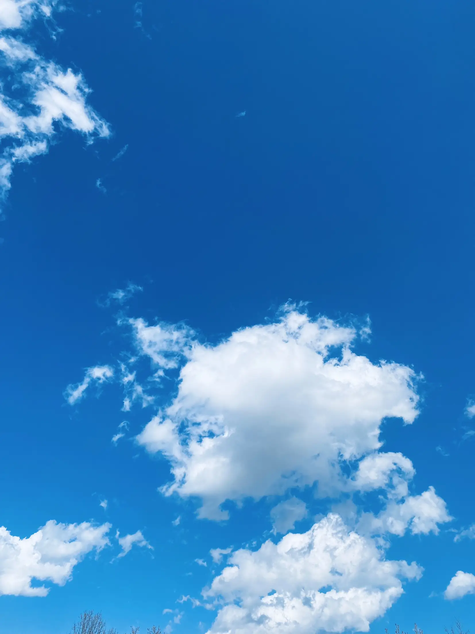 When the pup matches the weather😍☺️ | Gallery posted by Noble | Lemon8