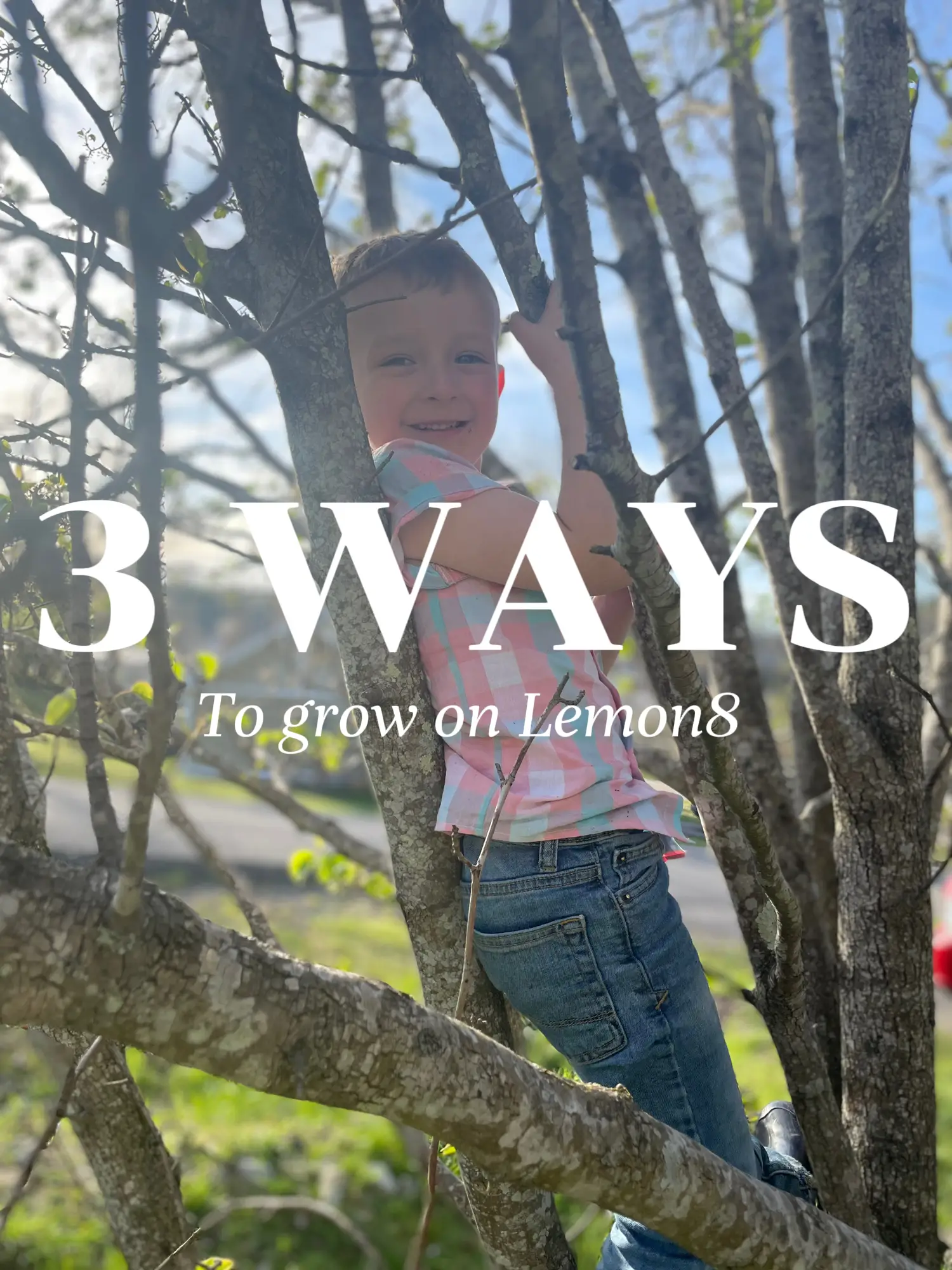 Want to grow on Lemon8? Comment below 👇🏼 | Gallery posted by Meadows&Mortar | Lemon8