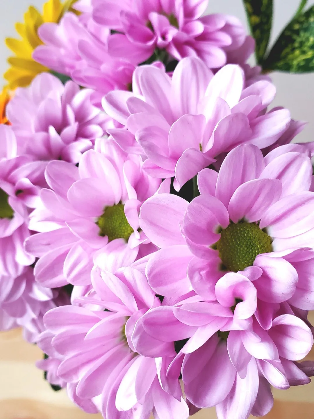 Japan's No. 1 flower producer! Regular flower delivery in Tahara City ...