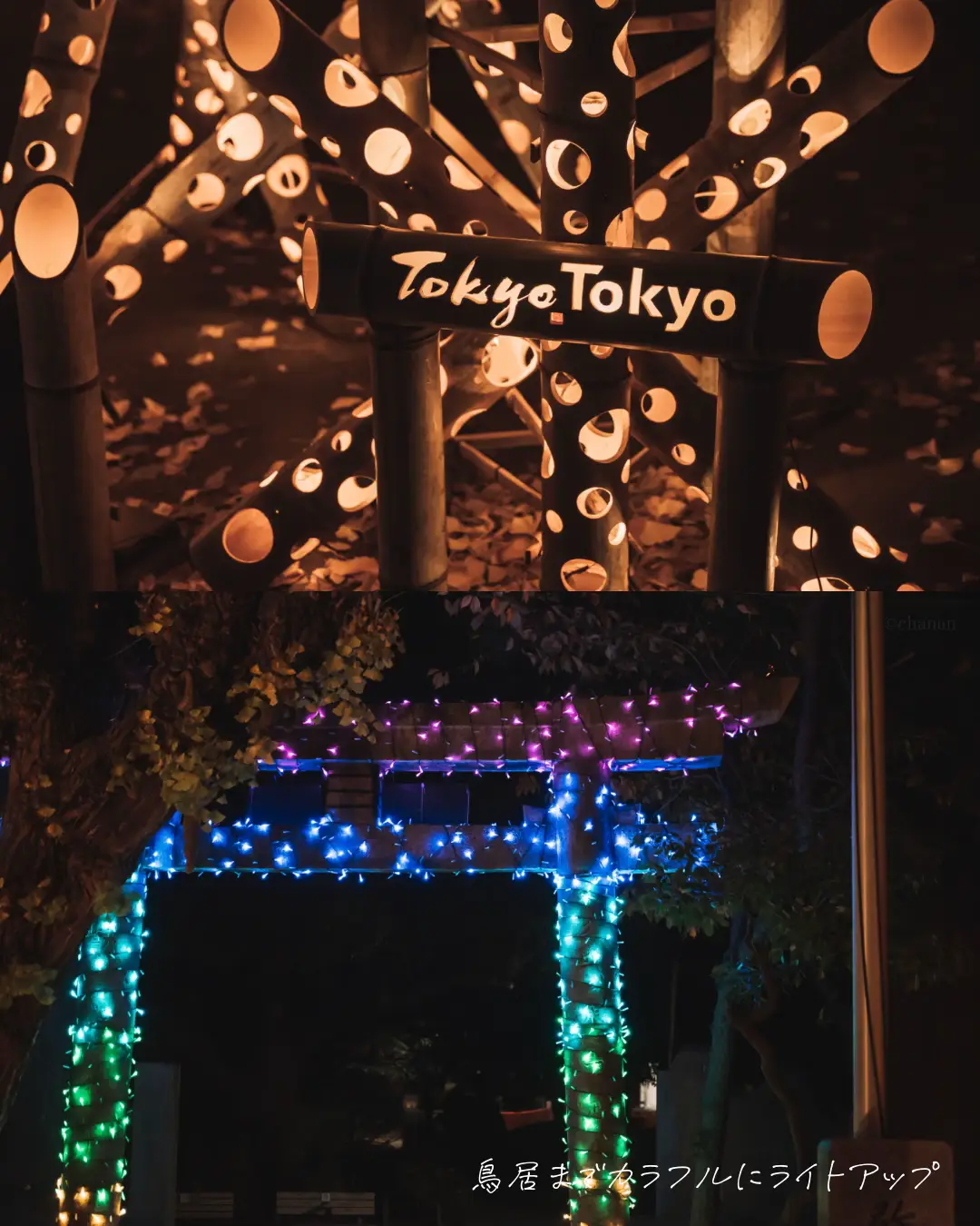 【東京/押上】冬にきらめく牛嶋神社⛩ | แกลเลอรีที่โพสต์โดย ちゃんあん | chanan | Lemon8