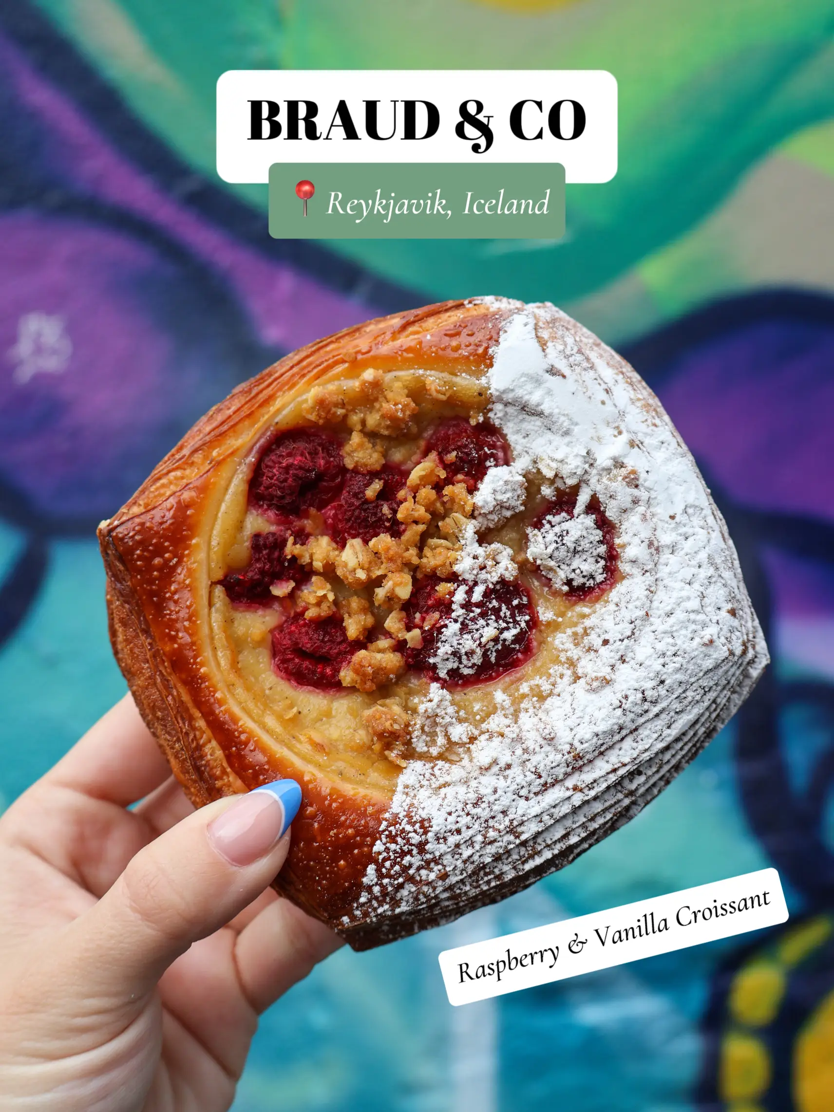 Must-try Pastries in Iceland | Gallery posted by Fluentinfood | Lemon8