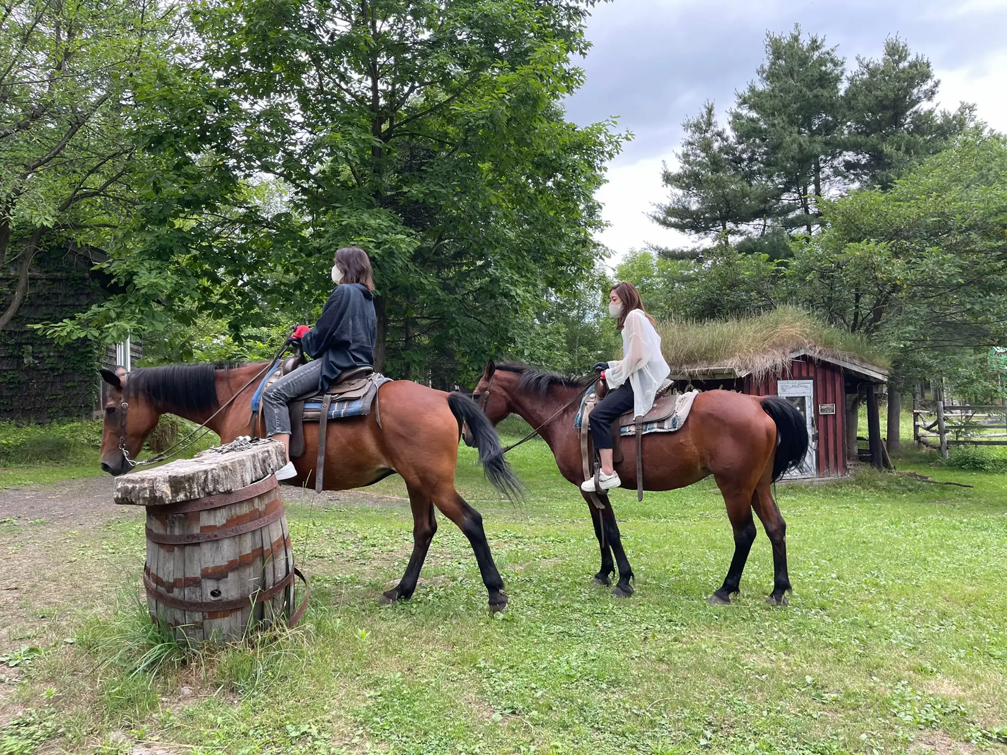 Hokkaido Asahikawa Clark Horse Garden Horse Riding Experience | Gallery posted by satomi | Lemon8
