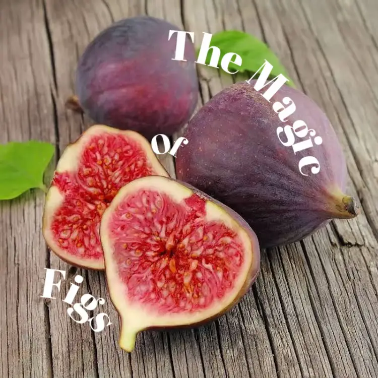 The Magic of Figs | Gallery posted by ThatLazyWitch | Lemon8