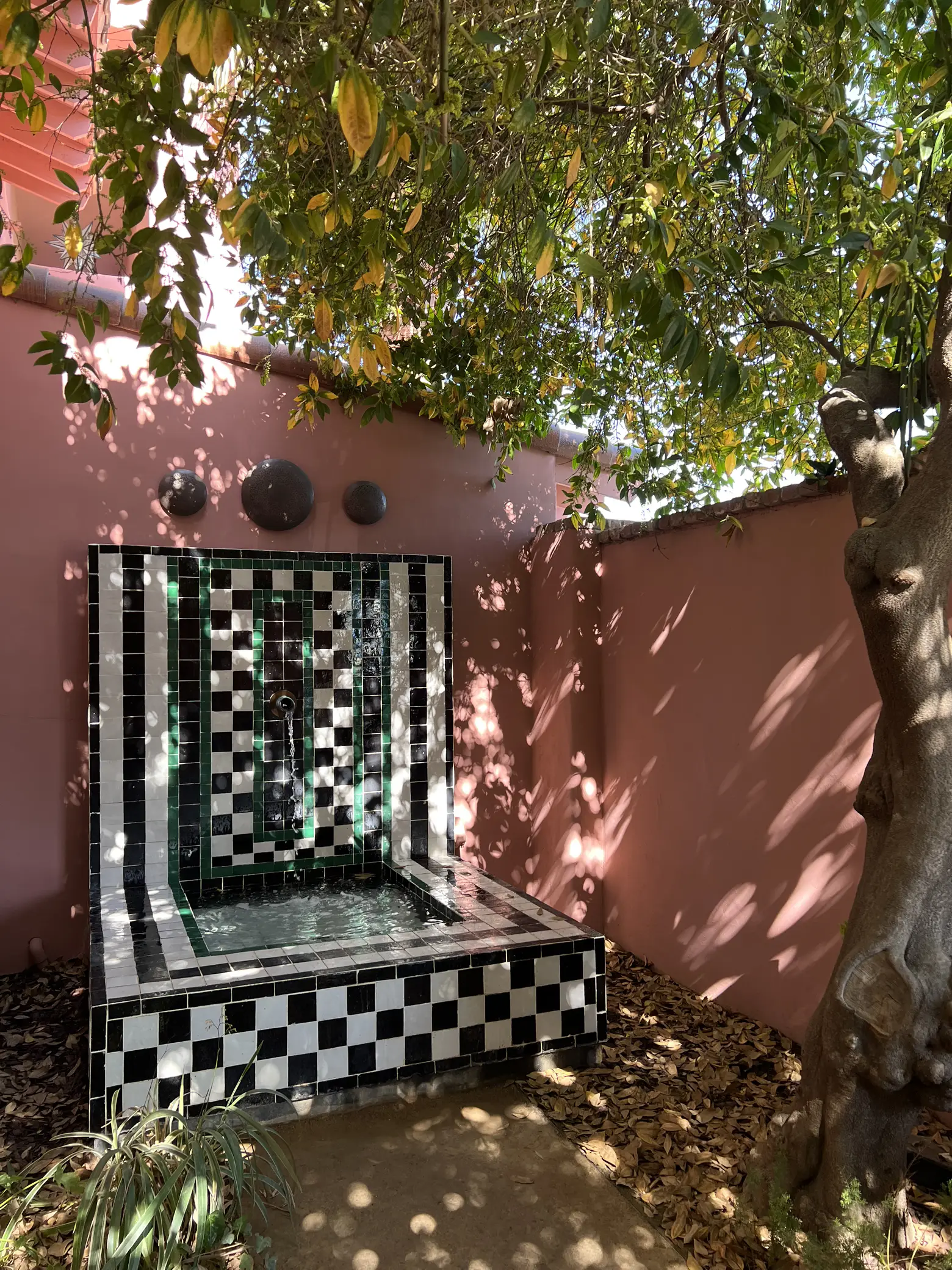 Palm Springs Inspired Brunch 💖🌴🌟 | Gallery posted by Morgan Reece | Lemon8