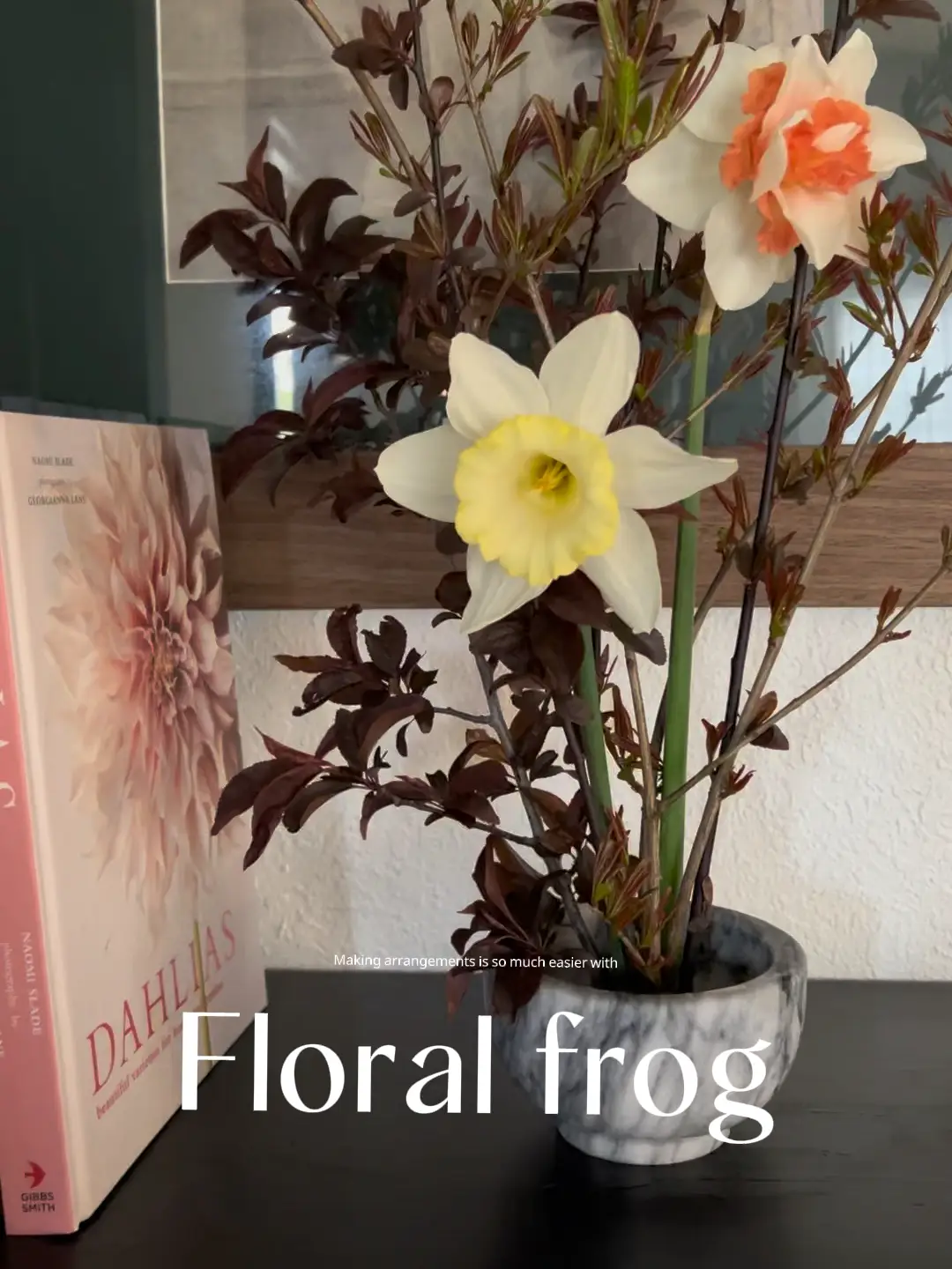 Floral frogs | Robbieの投稿動画 | Lemon8
