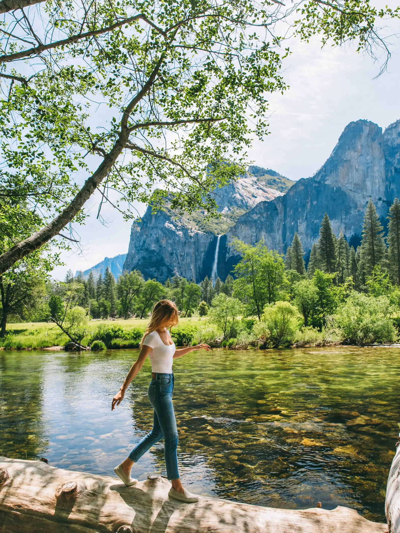 Yosemite in the summer! | Gallery posted by Nicole Knox | Lemon8