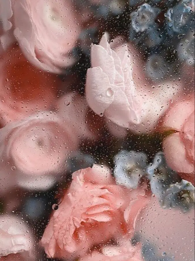 Soft-Girl Aesthetic 🌷🎀 | Gallery posted by ᗷ ᖇ I ♡ | Lemon8