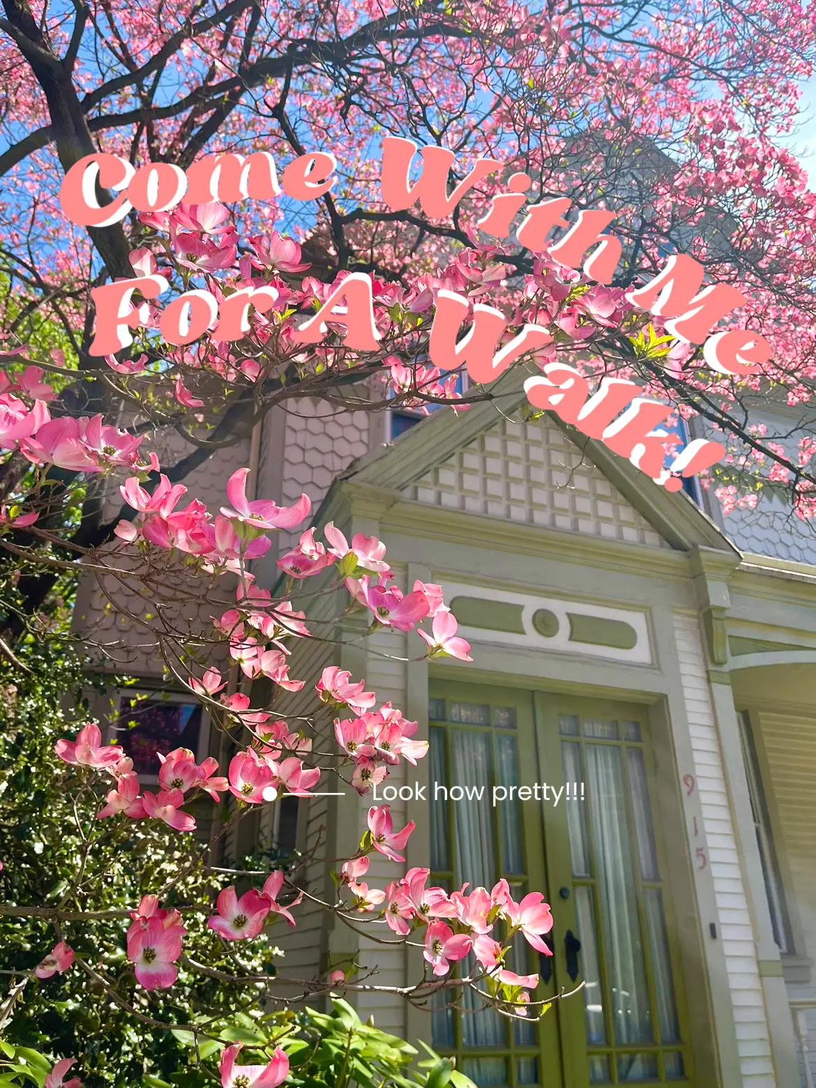 Walk and Window Shop 🩷🫶🏻🌷 | Gallery posted by Morgan Butler | Lemon8