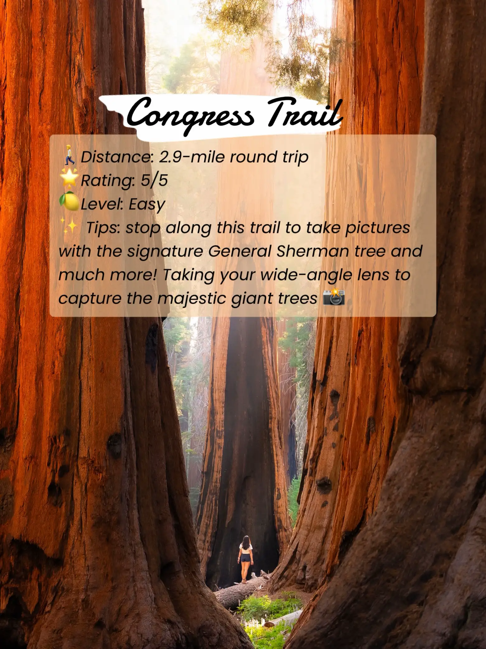 Sequoia National Park Must-see! | แกลเลอรีที่โพสต์โดย GiGi | Lemon8