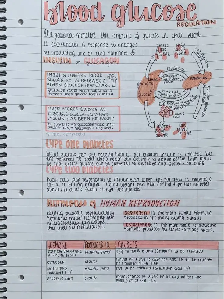 CUTE NOTE IDEAS 💡 | Gallery posted by Isabel Beitz | Lemon8