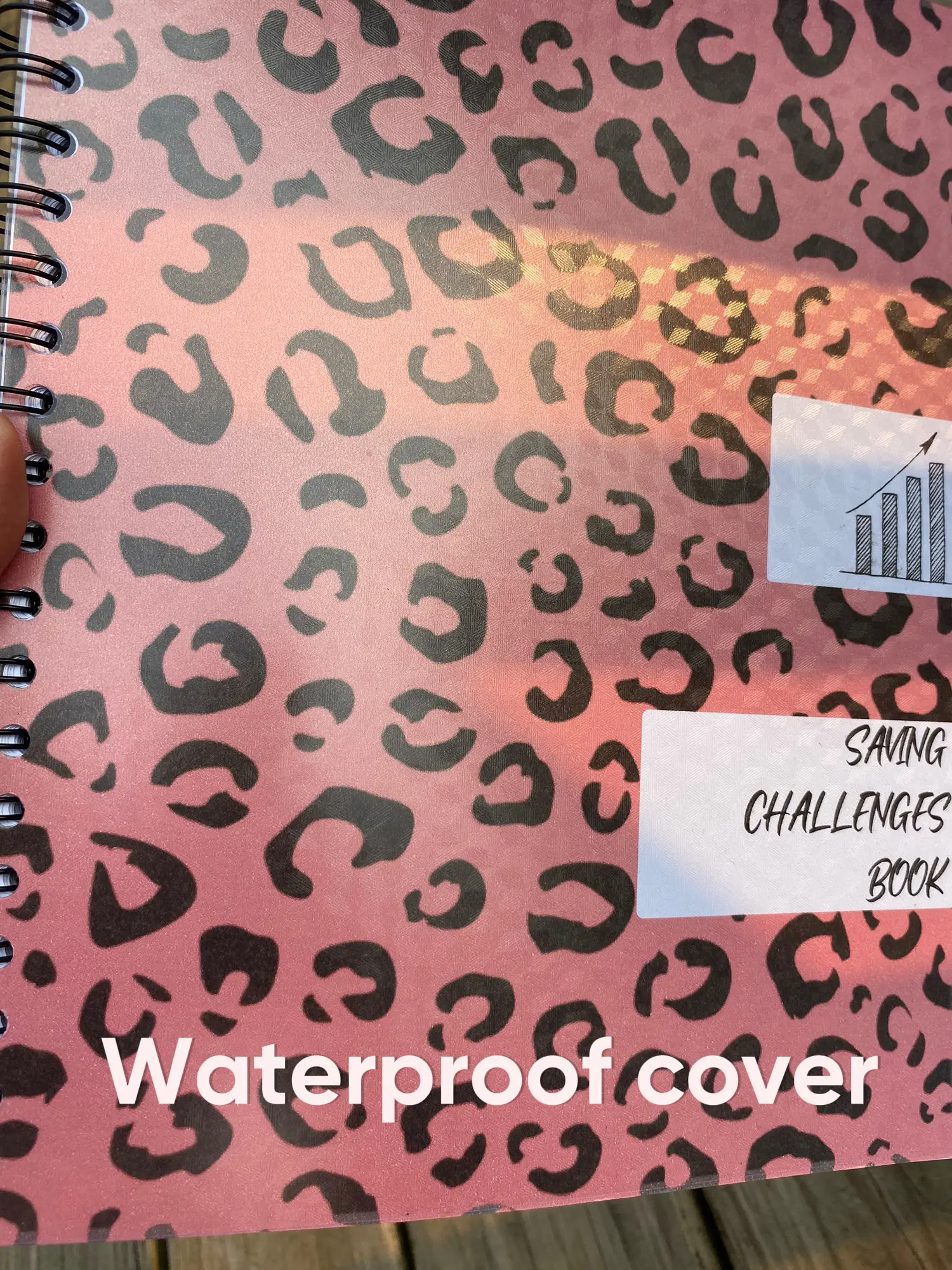 43 page SCB ( Savings Challenge Book) | Gallery posted by ...