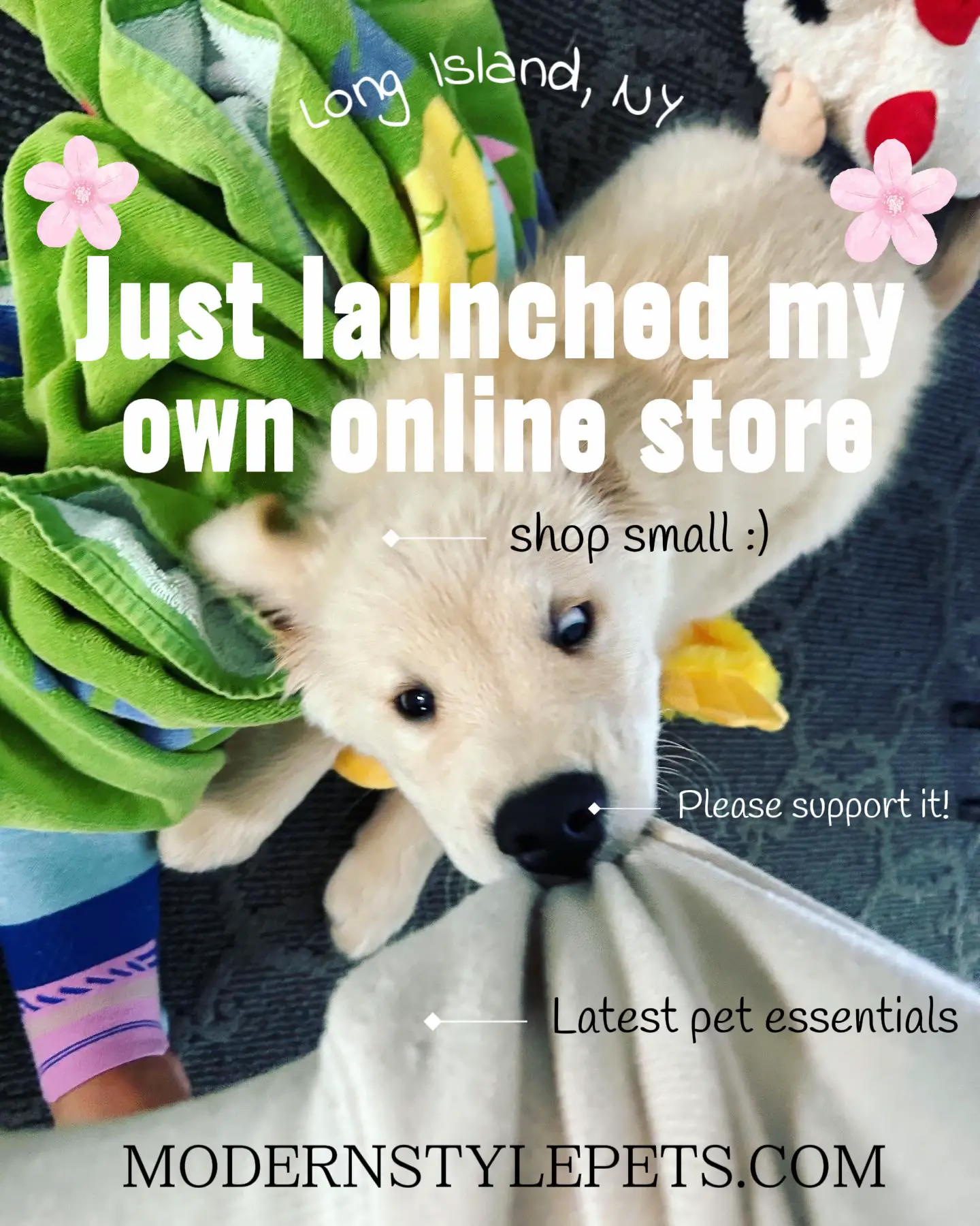 Following Back ALL accounts | แกลเลอรีที่โพสต์โดย Carlin | Lemon8