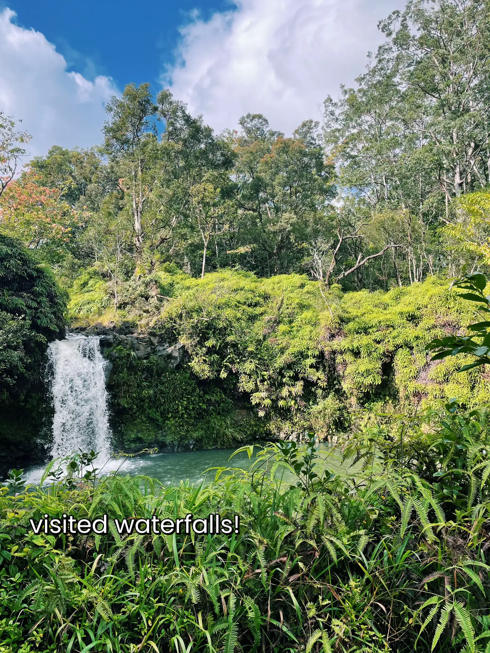 MAUI | Gallery posted by megan witt | Lemon8