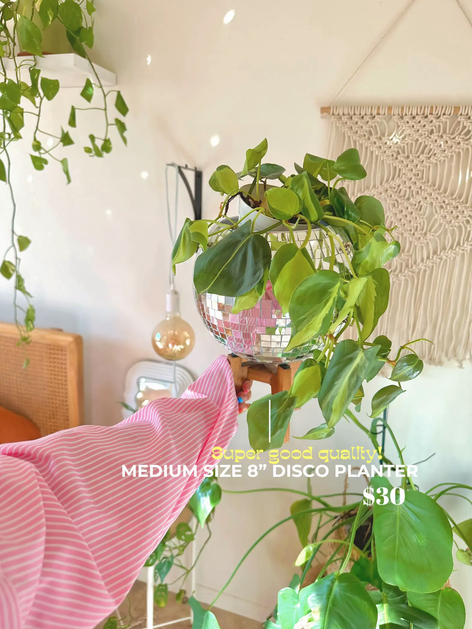 AMAZON HOME FAVES PART 4🌷⛅️🌱 | Gallery posted by Natalie Quinn | Lemon8