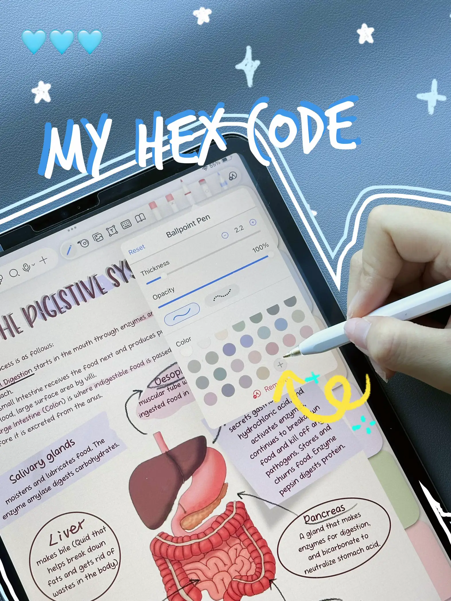 Color palette 💙💜for digital notes | Gallery posted by FreenotesApp | Lemon8