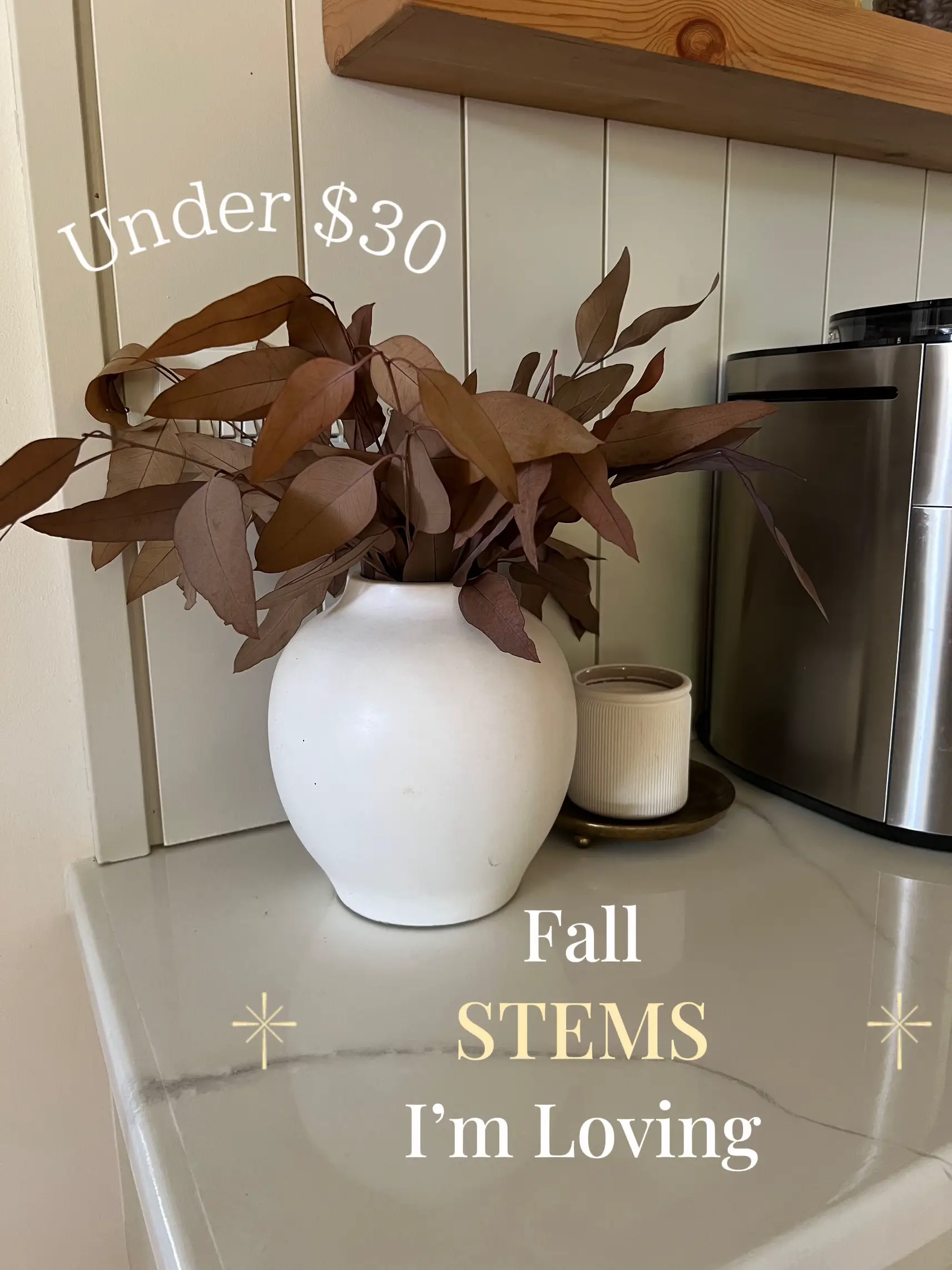 Fall Stems I’m Loving under $30 | Gallery posted by Crystal | Lemon8