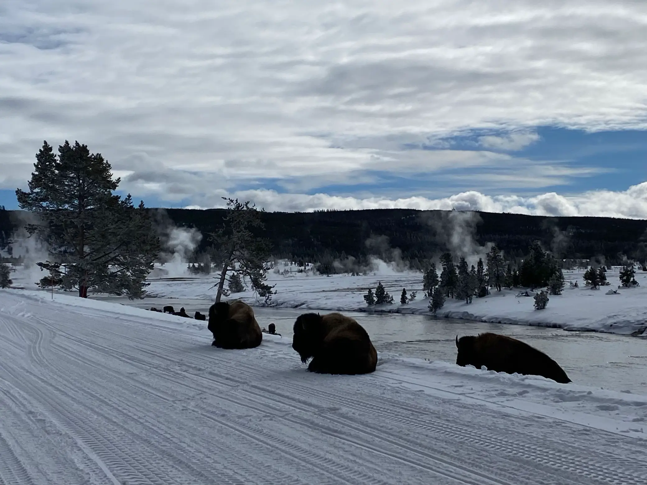 My trip to Yellowstone national park | Gallery posted by Millie Kaden ...