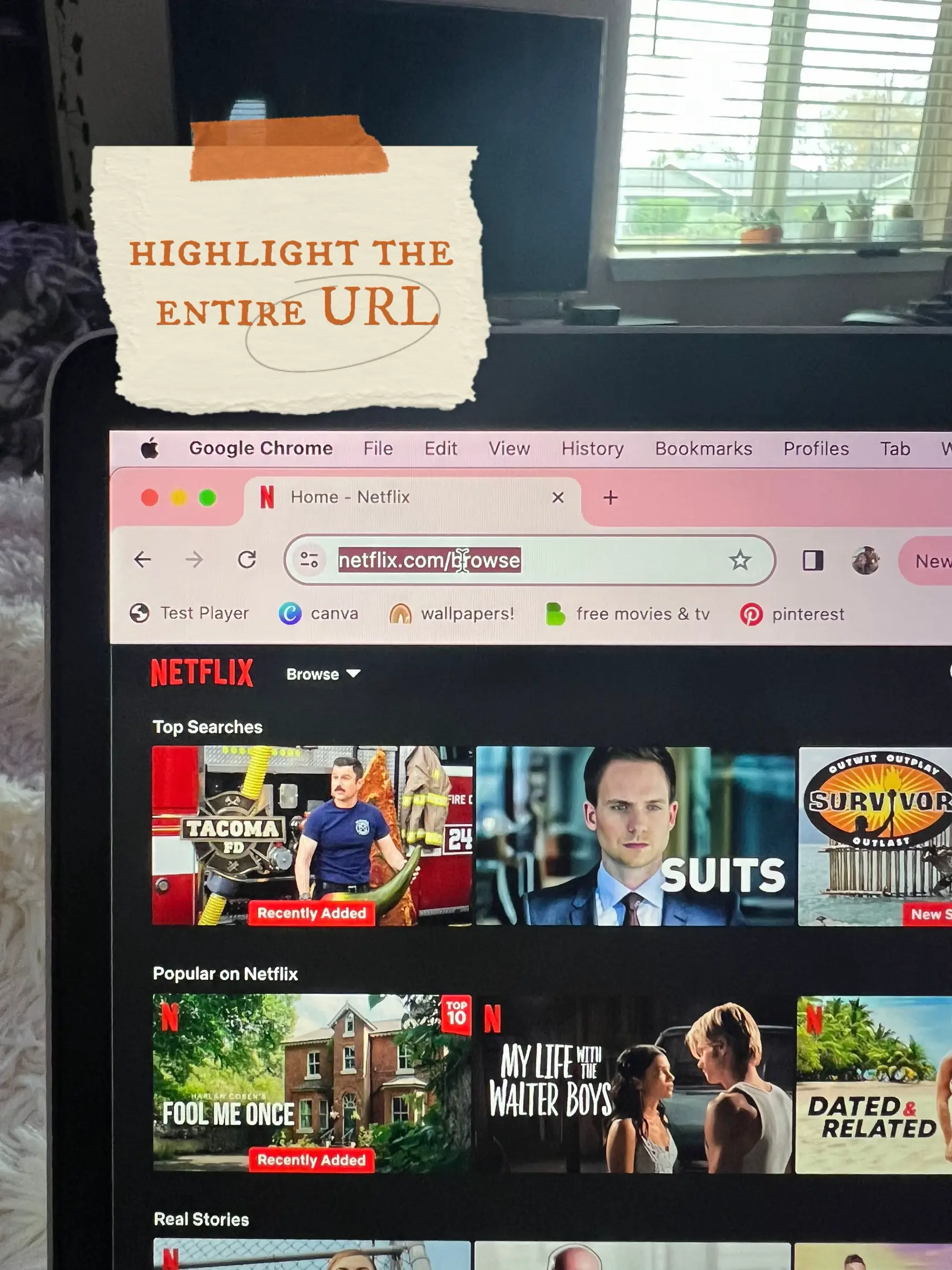 Lemon8 Pc - Lemon8 Search