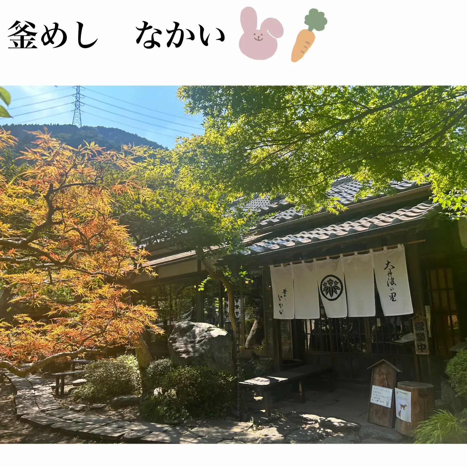 【東京 奥多摩】絶対ここ行って!!自然を感じながら和食を堪能できる ひまわりが投稿したフォトブック Lemon8