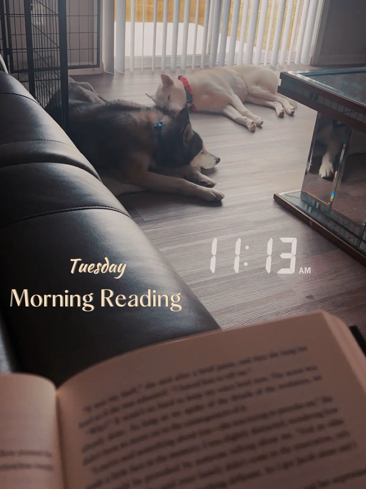 Morning Reading.. Midnight Sun | แกลเลอรีที่โพสต์โดย Valentina📚 | Lemon8